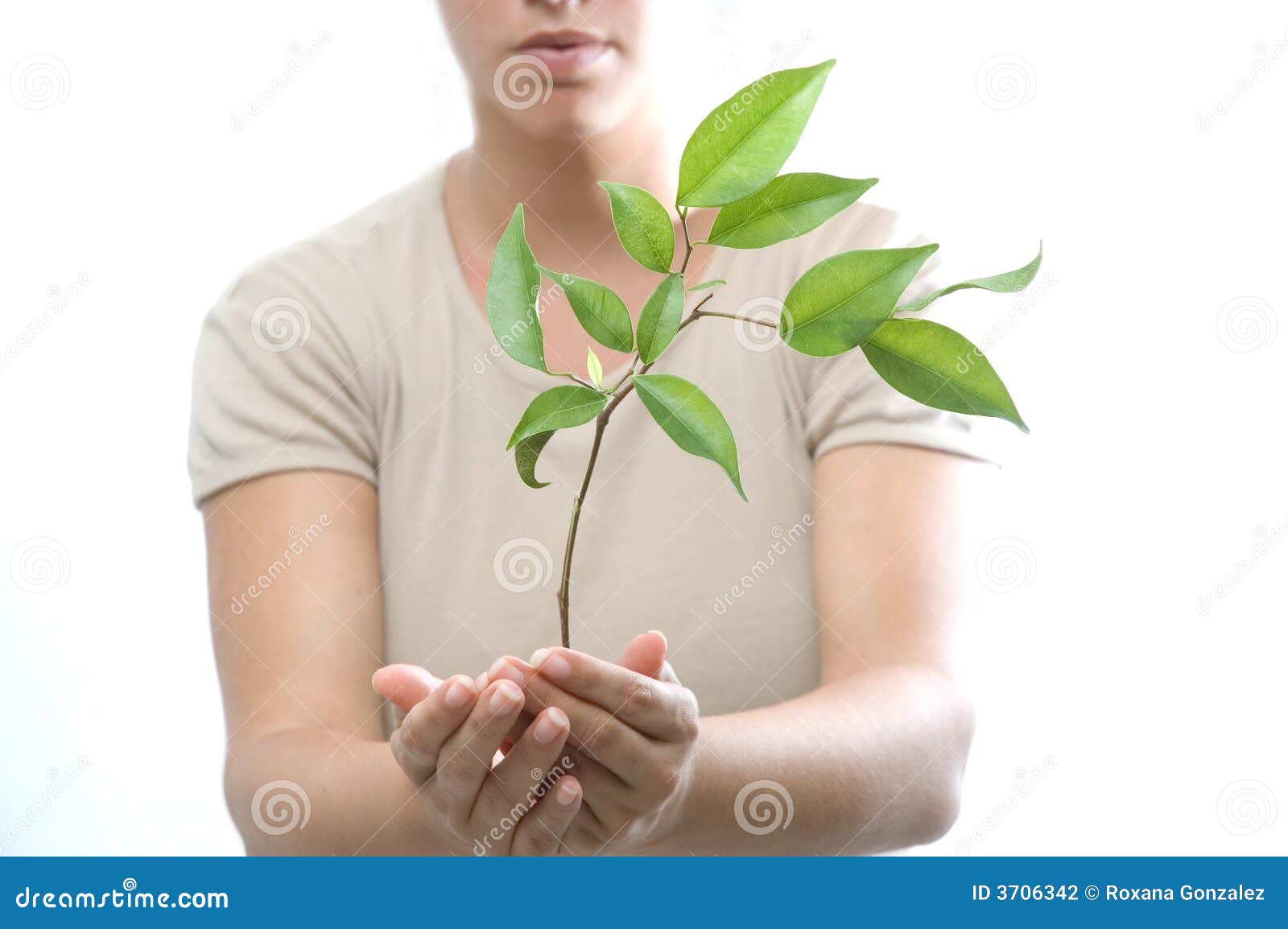 Girl holding small tree stock photo. Image of life, fragility - 3706342