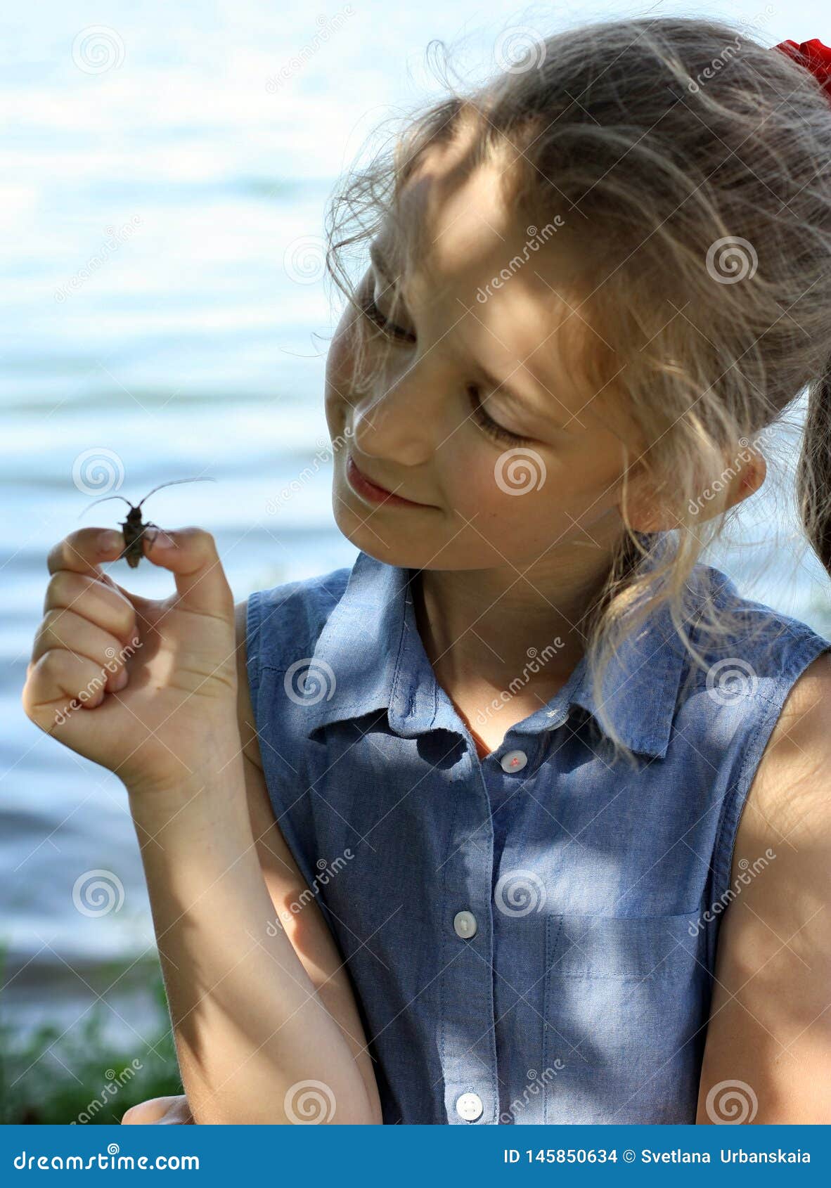 The Girl Holds a Beetle on a Hand Stock Photo - Image of nature, girl ...