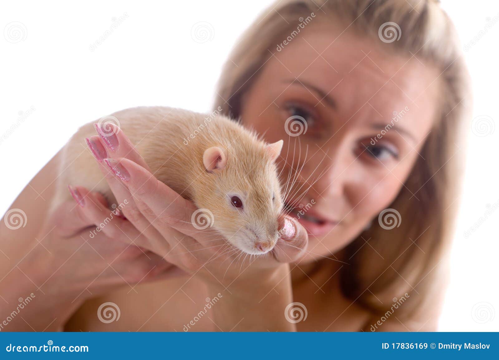 The girl holds a red rat stock image. Image of mammal - 17836169