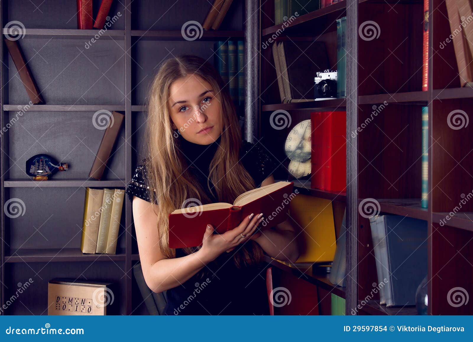 Girl in the home library stock photo. Image of business - 29597854