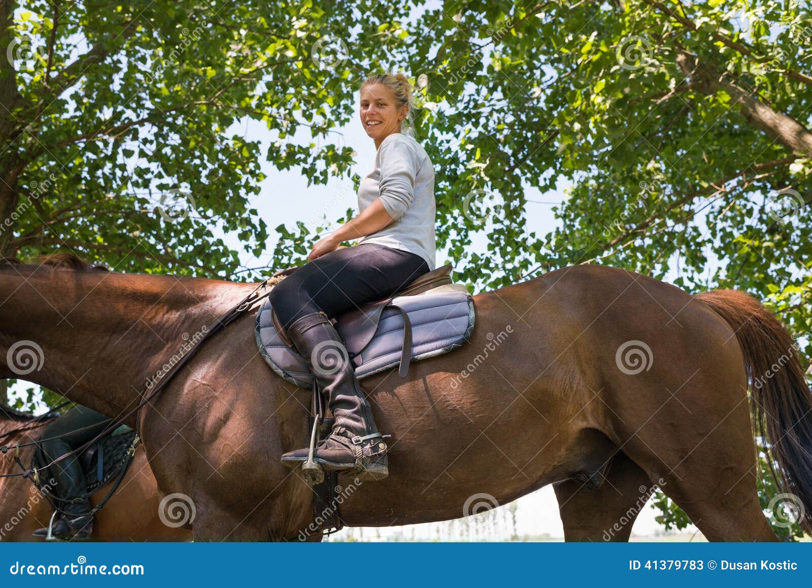 Girl on horseback riding stock image. Image of lead, horse - 41379783