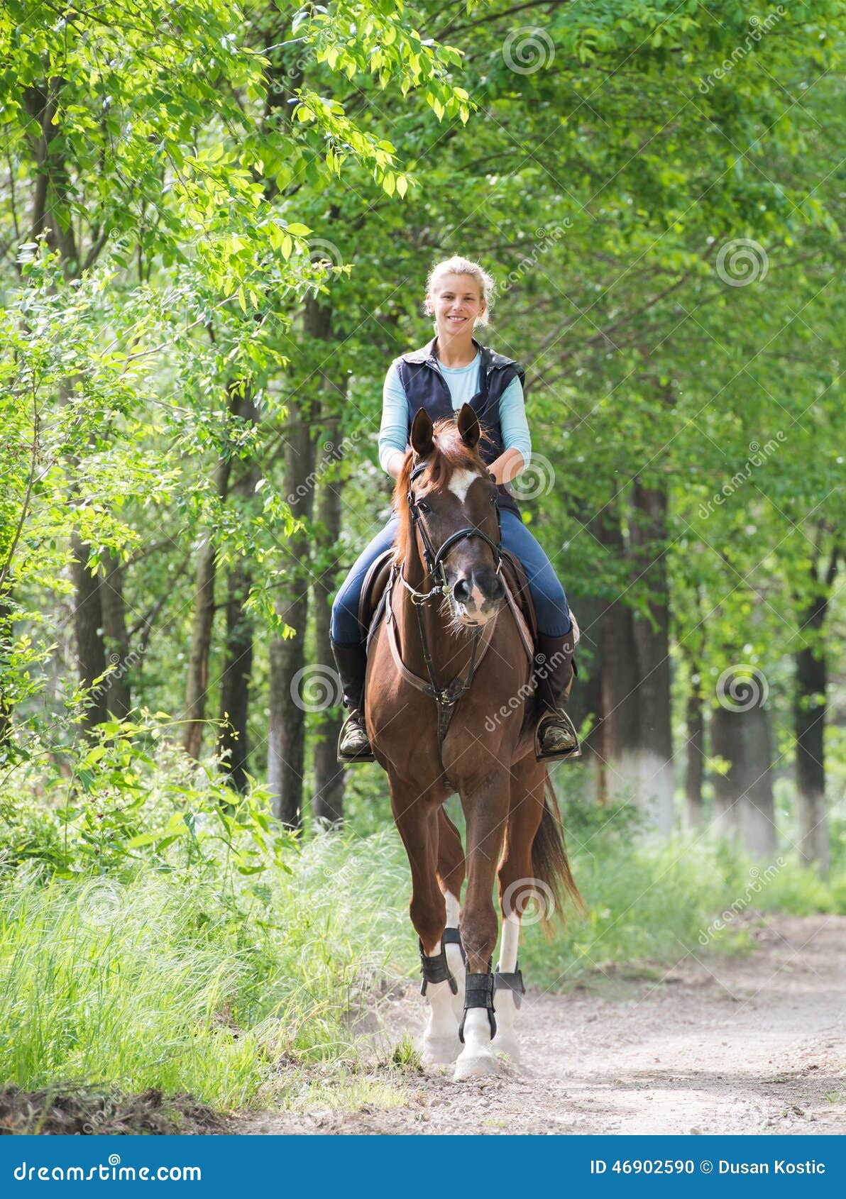 Girl on horseback riding stock photo. Image of domestic - 46902590