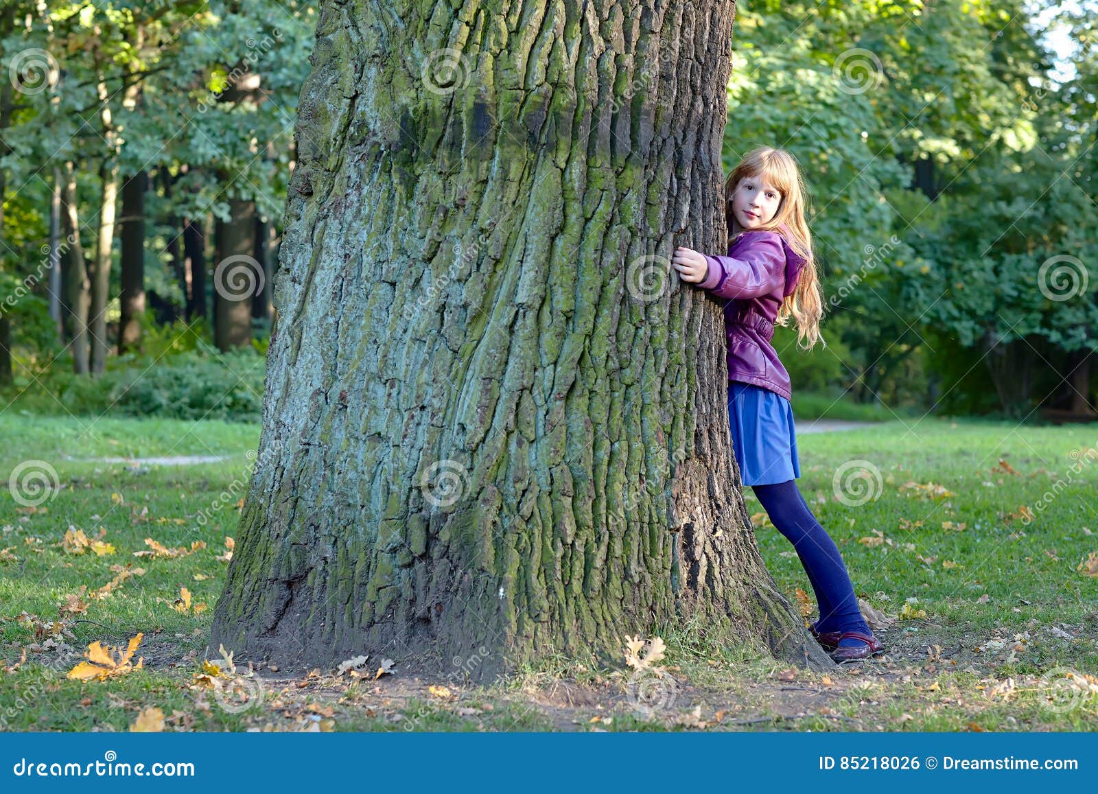 Girl is Hugging a Big Tree in Autumn Park. Stock Photo - Image of cute ...