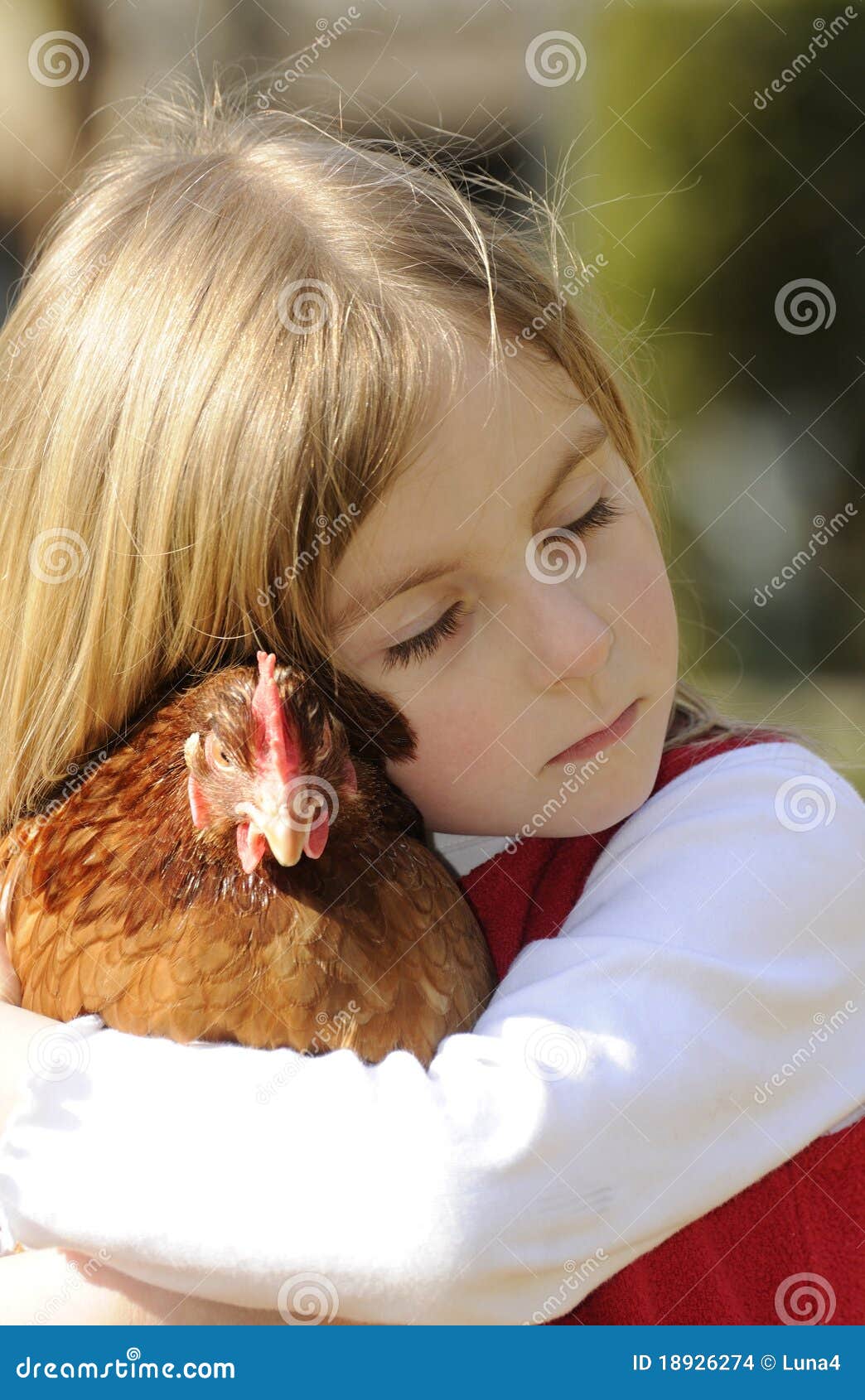 Girl hugging a chicken stock photo. Image of garden, chicken - 18926274