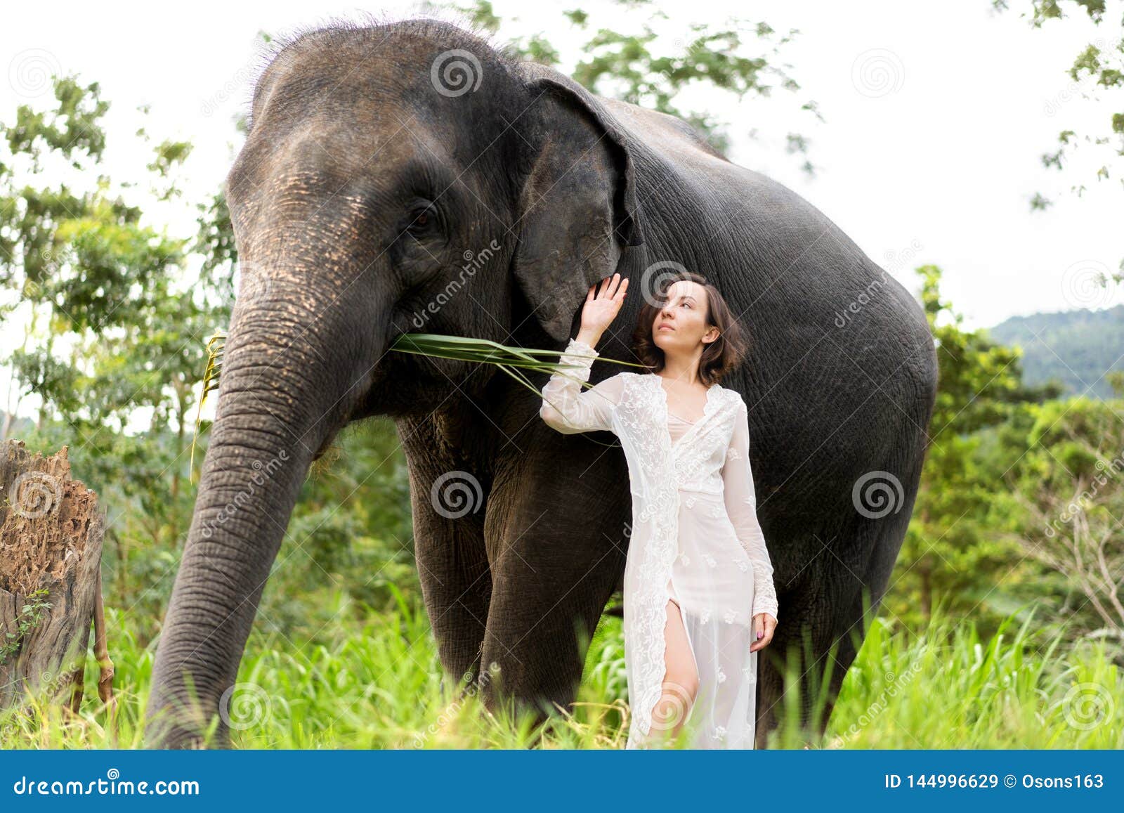 Girl Hugging an Elephant in the Jungle Stock Image - Image of animals ...