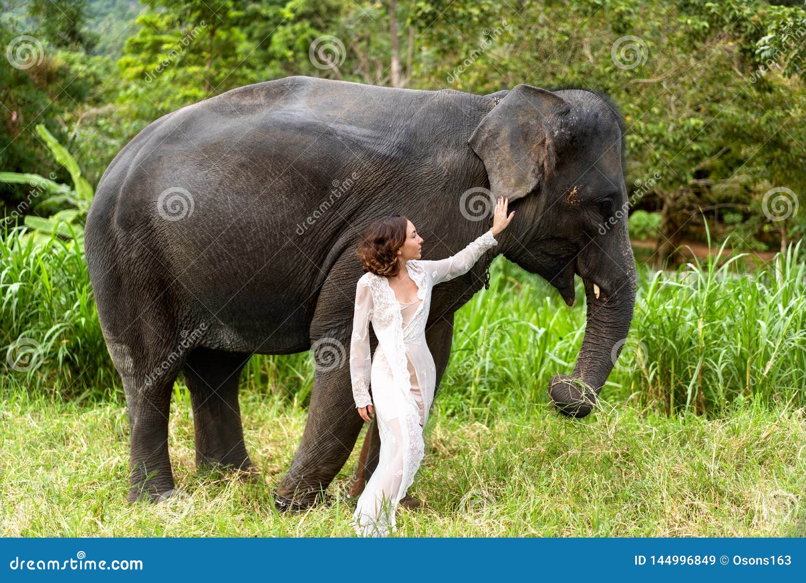 Girl Hugging an Elephant in the Jungle Stock Image - Image of asian ...