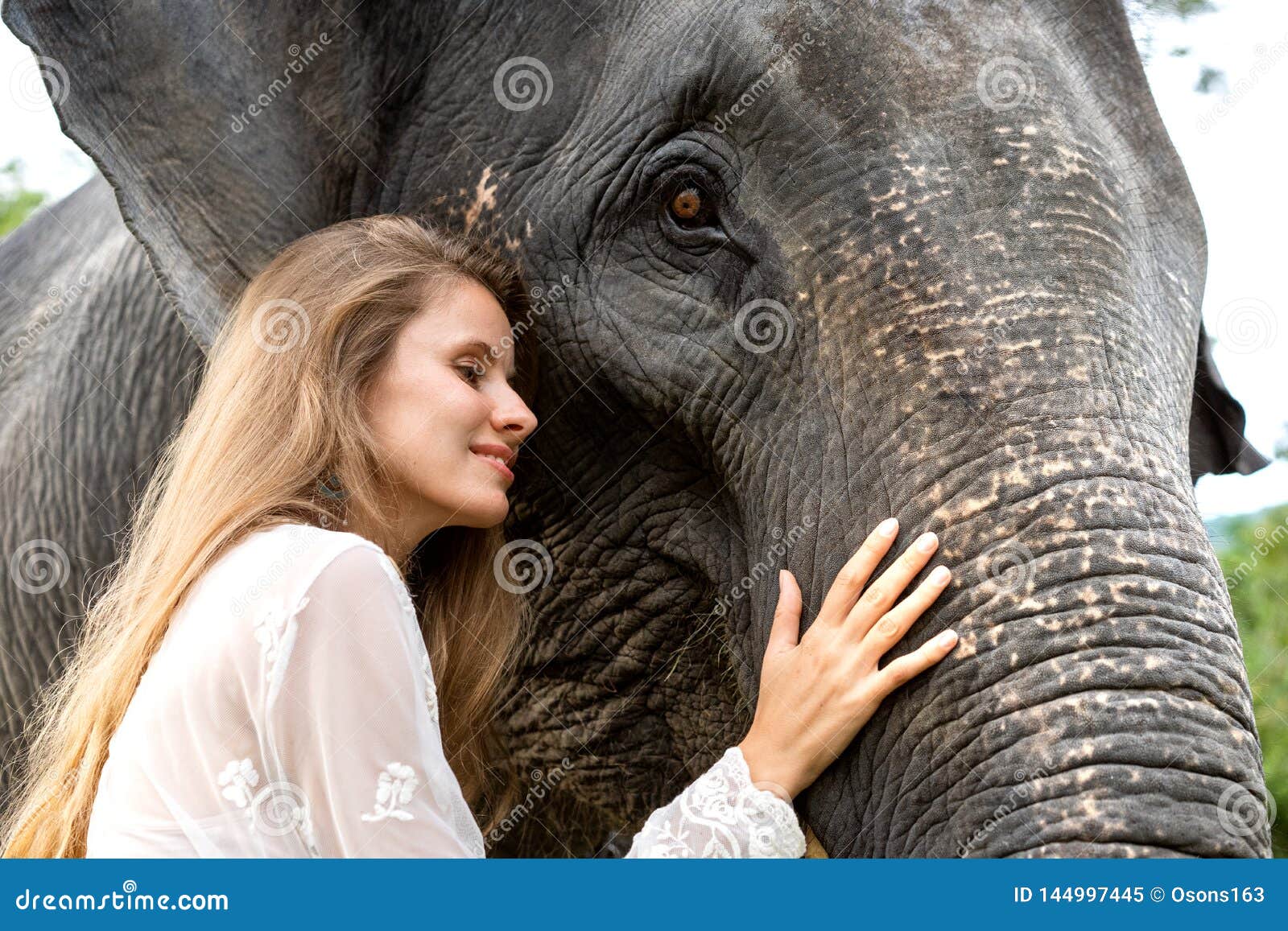 Girl Hugging an Elephant in the Jungle Stock Image - Image of laos ...