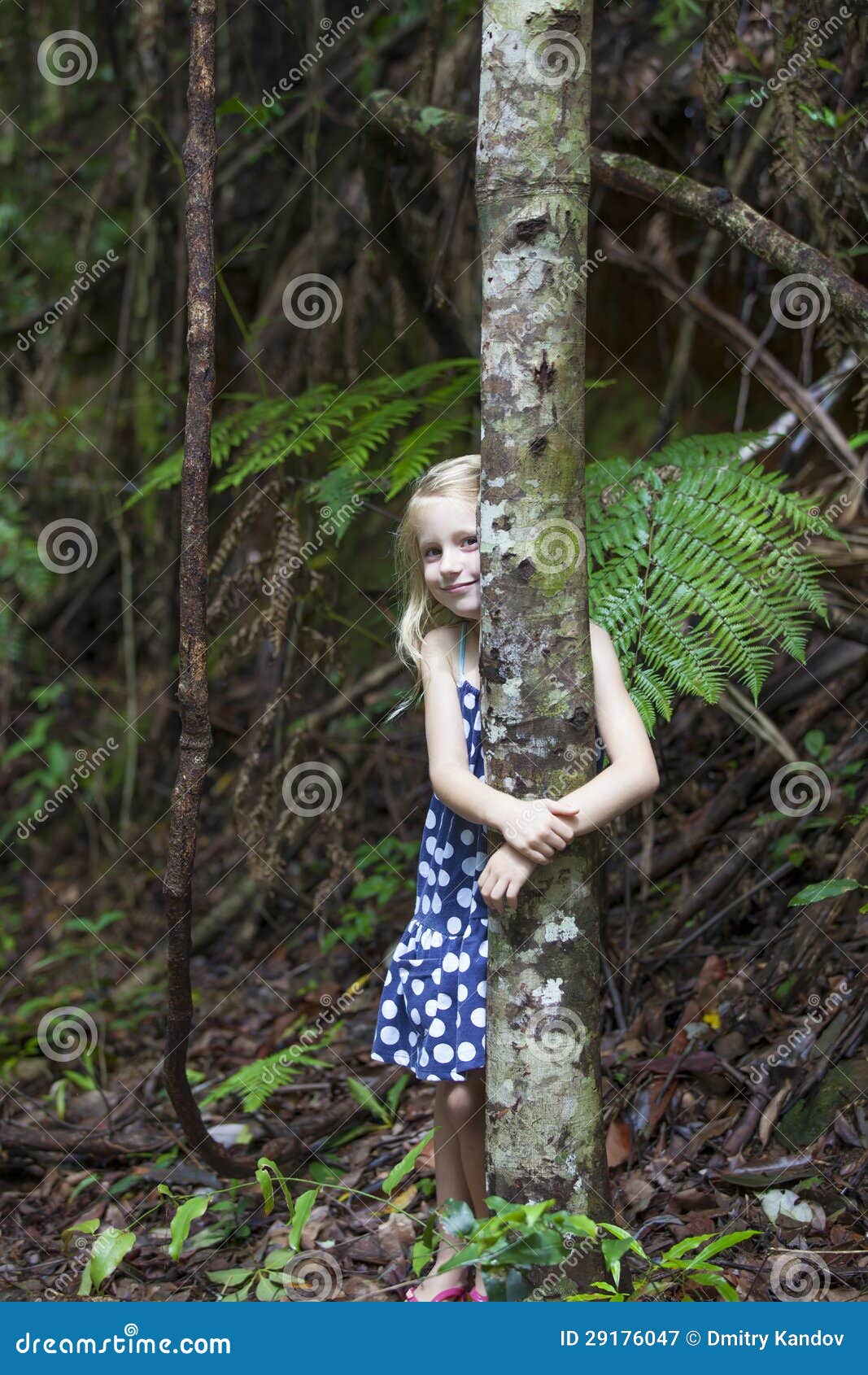 Girl Hugging Tree stock image. Image of leaves, nature - 29176047