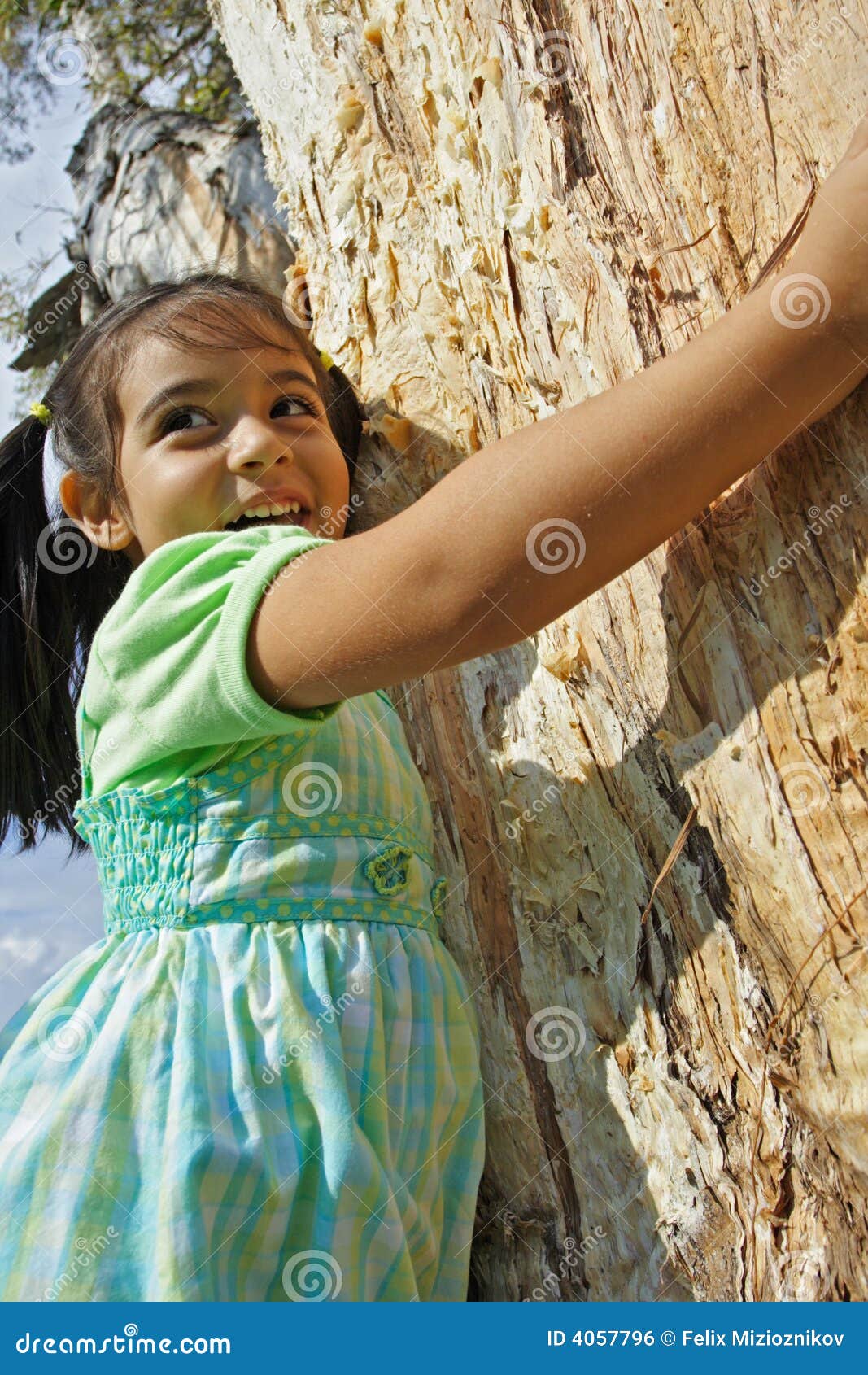 Girl Hugging a Tree stock photo. Image of nature, smiling - 4057796