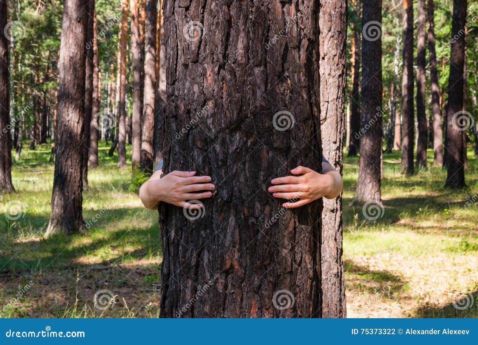 Girl hugging a tree stock photo. Image of care, child - 75373322