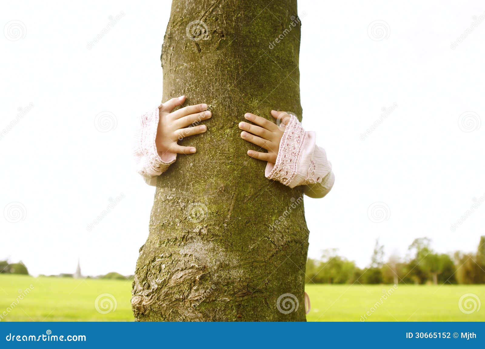 Girl hugging tree in park. stock photo. Image of holding - 30665152