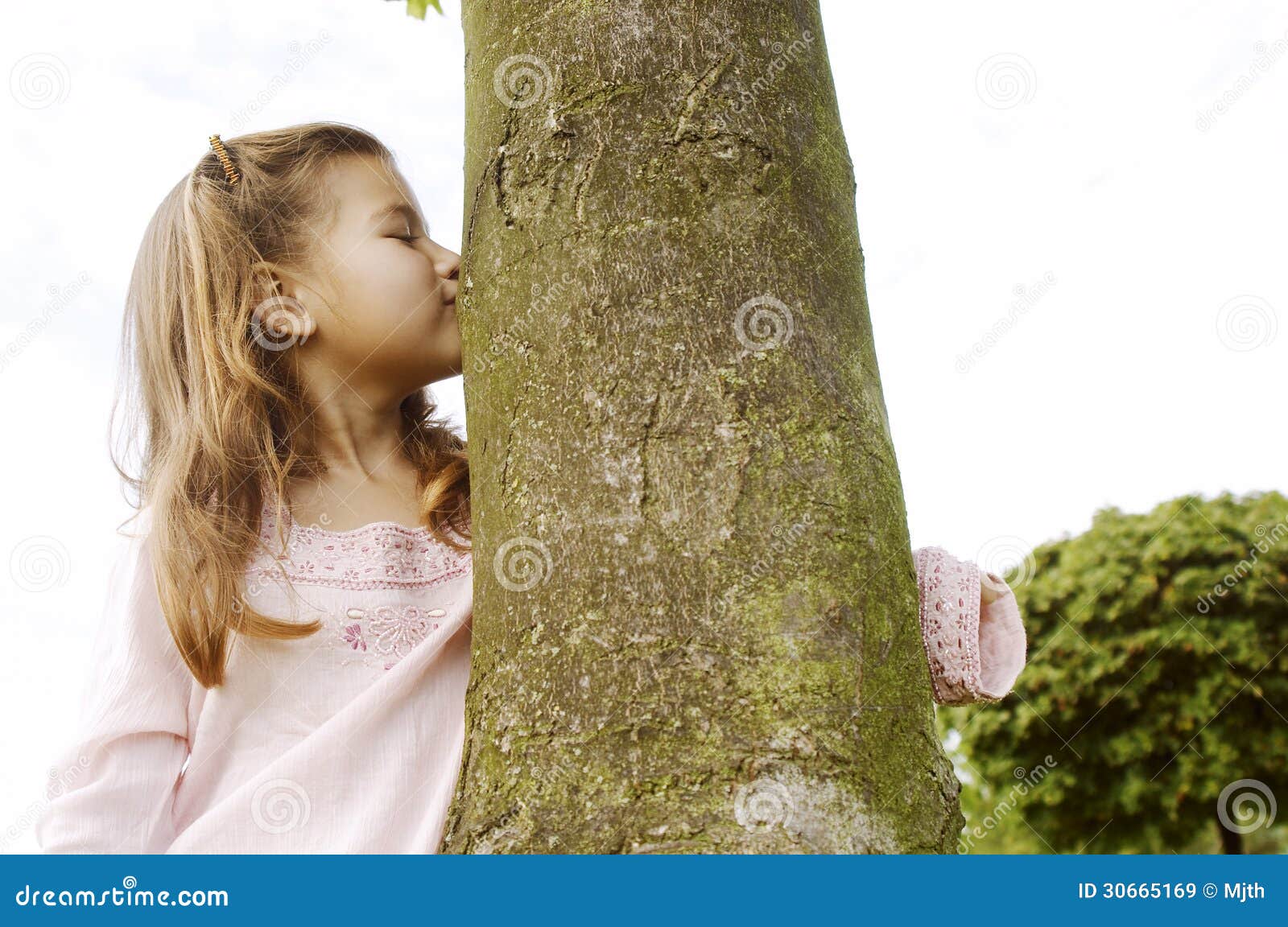 Girl hugging tree in park. stock image. Image of holding - 30665169