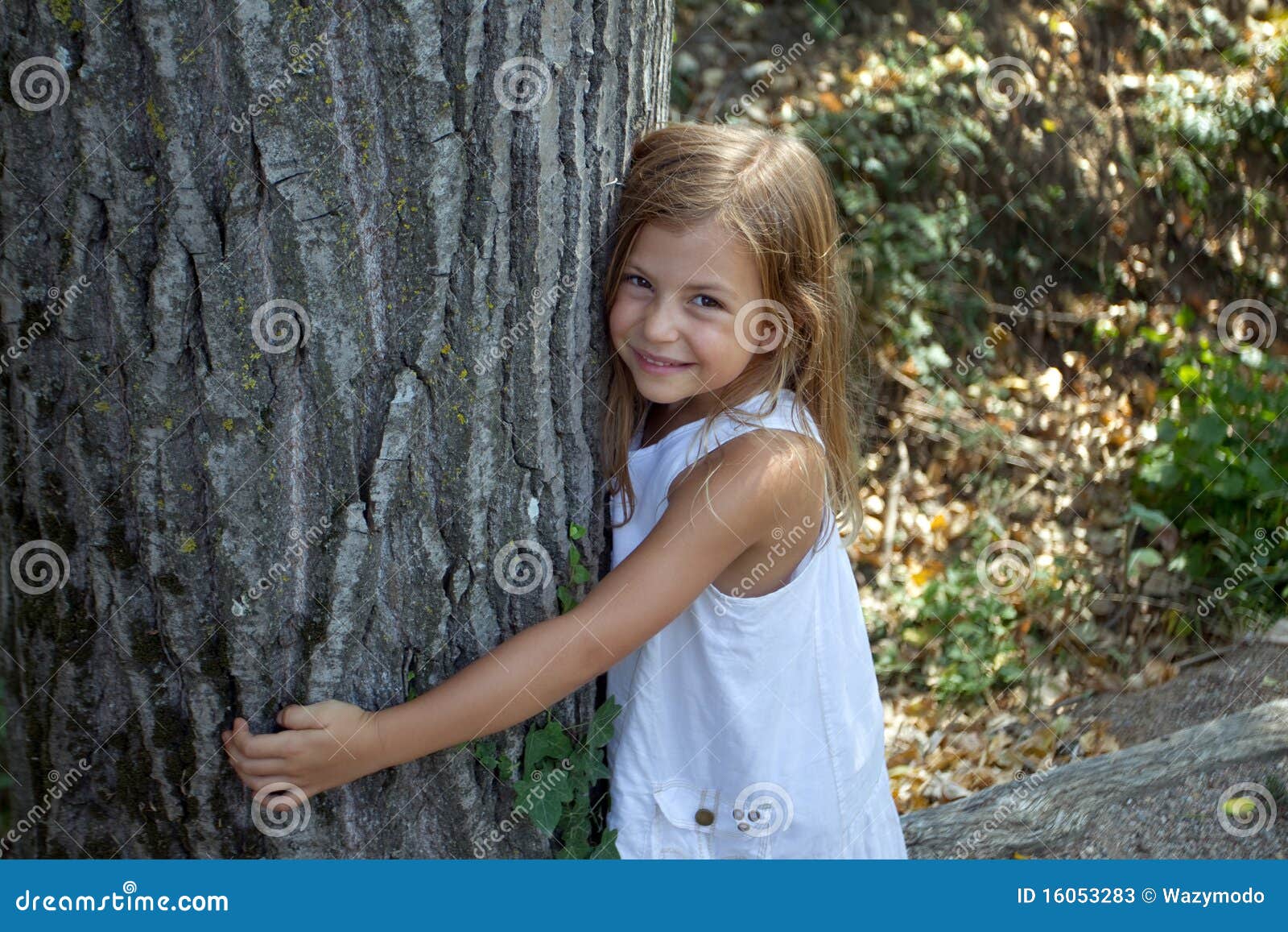Girl hugging tree trunk stock image. Image of happiness - 16053283