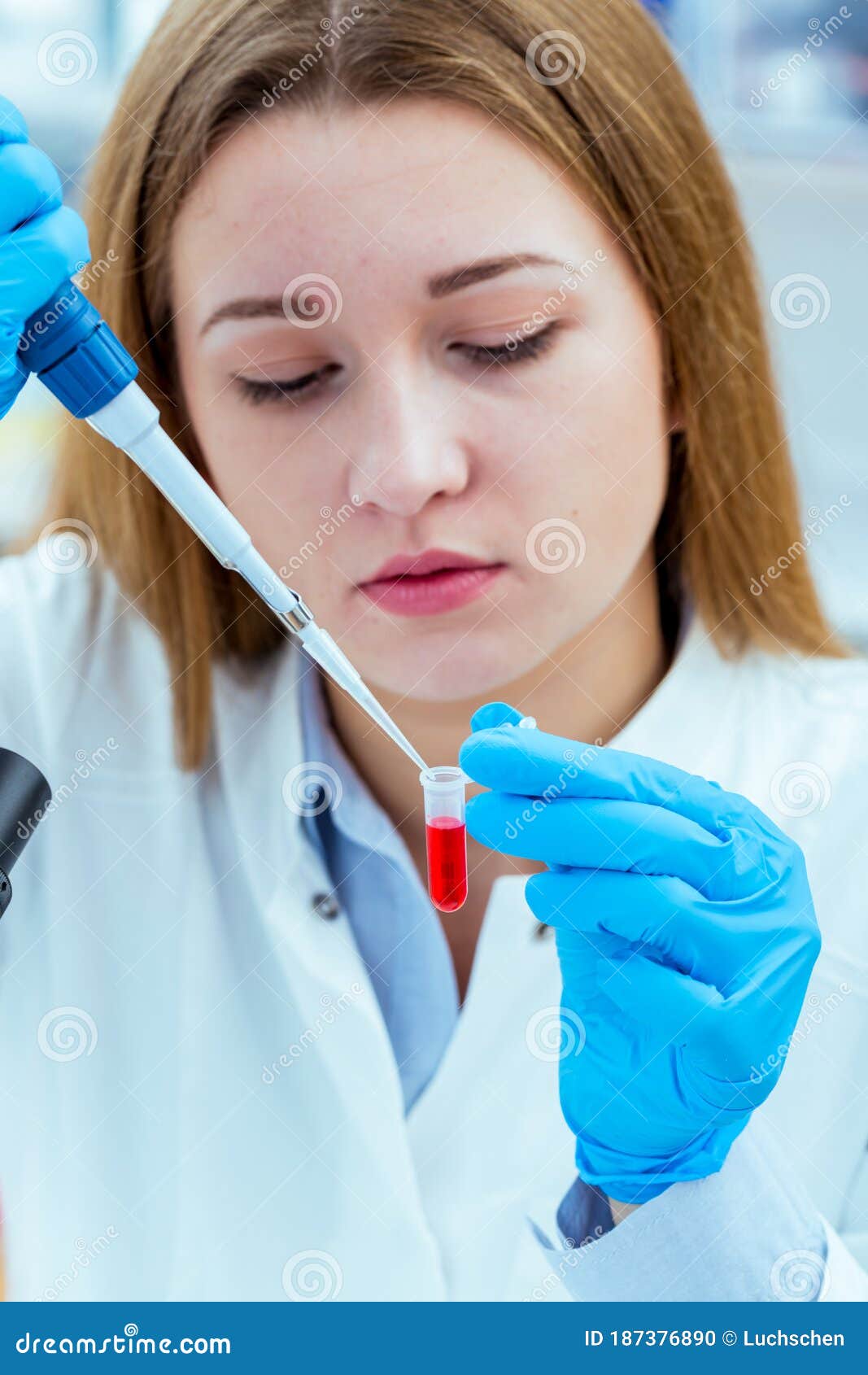 Girl Lab Technician at the Clinic`s Microbiology Laboratory Stock Photo ...