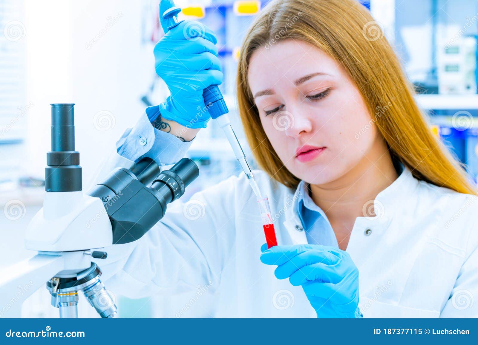 Girl Lab Technician at the Clinic`s Microbiology Laboratory Stock Image ...