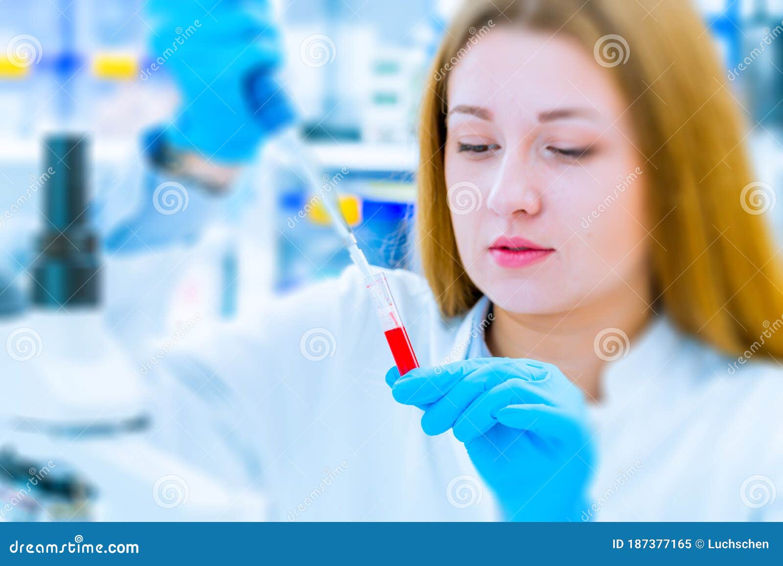 Girl Lab Technician at the Clinic`s Microbiology Laboratory Stock Image ...