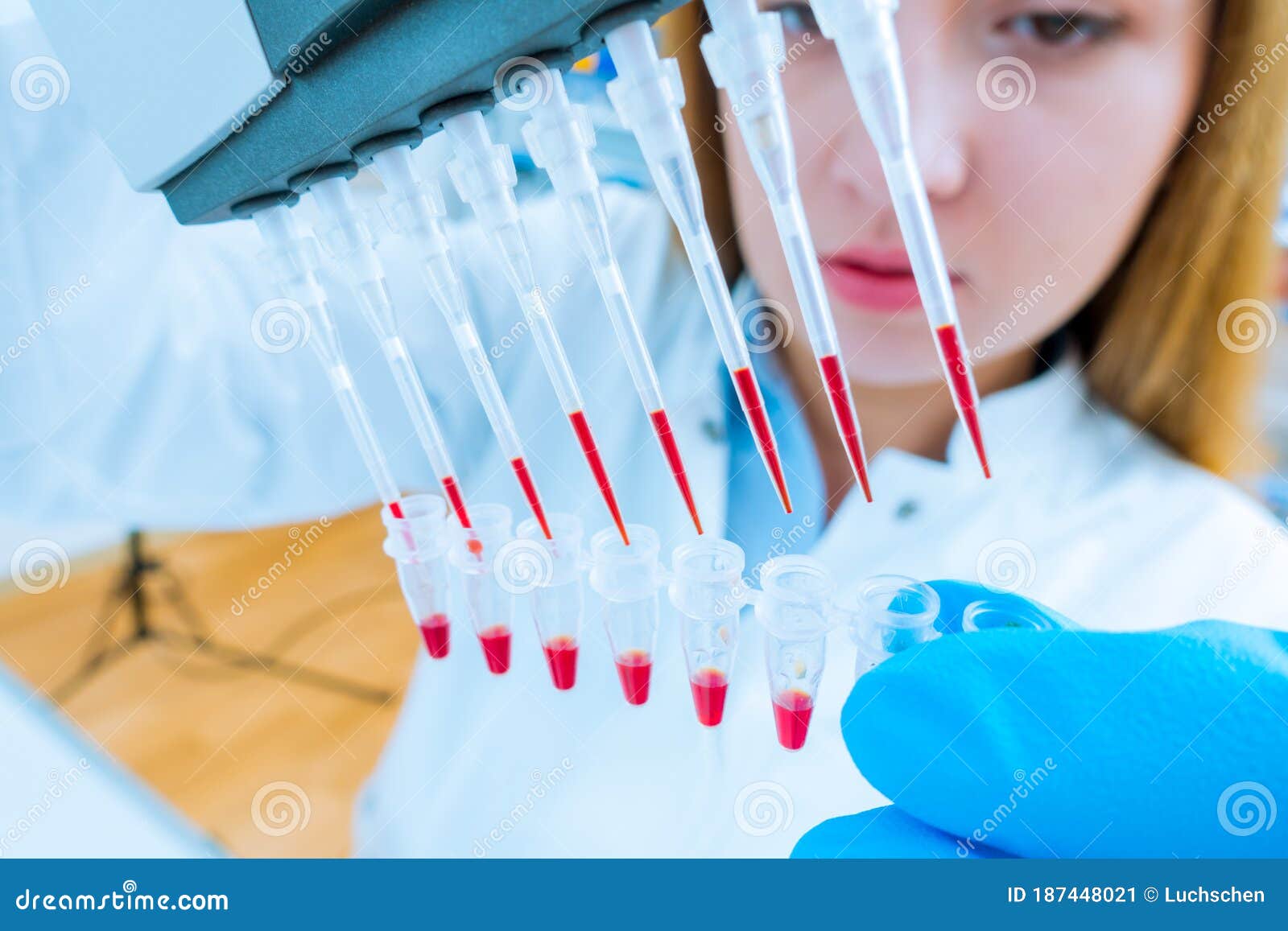 Girl Lab Technician at the Clinic`s Microbiology Laboratory Stock Image ...