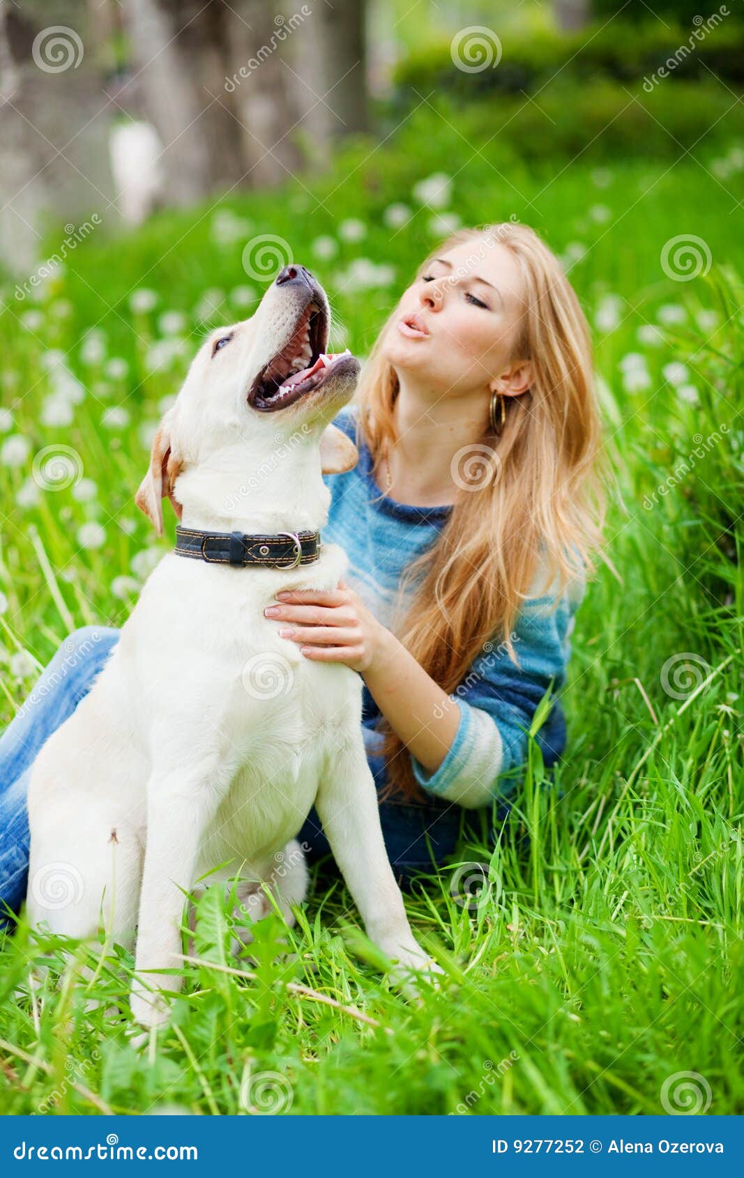 Girl with labrador stock photo. Image of cute, caress - 9277252