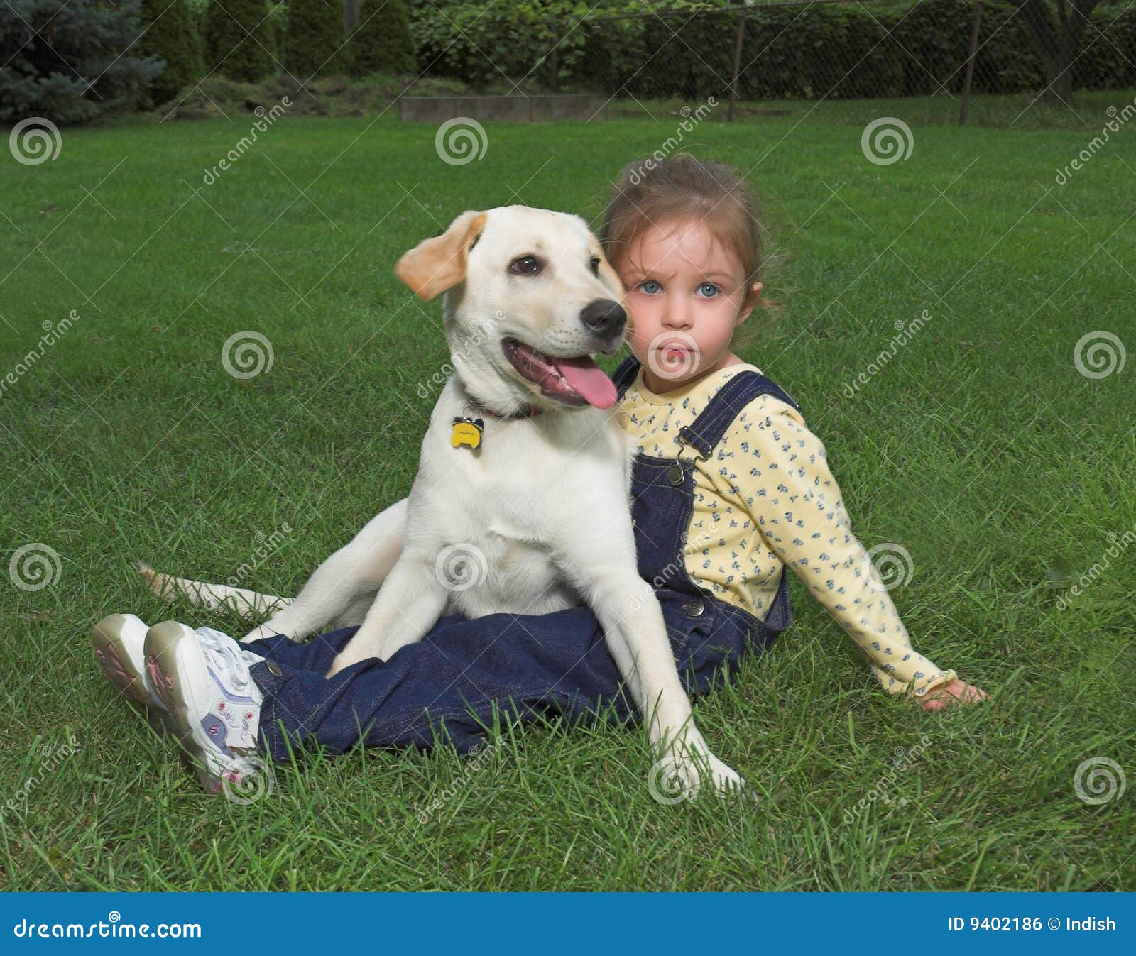 Girl with labrador puppy stock photo. Image of friendship - 9402186