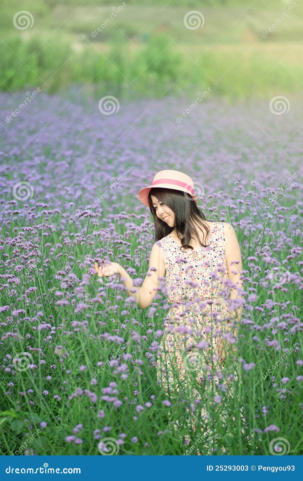 Girl in the Lavender in a Smile Stock Image - Image of romantic, summer ...