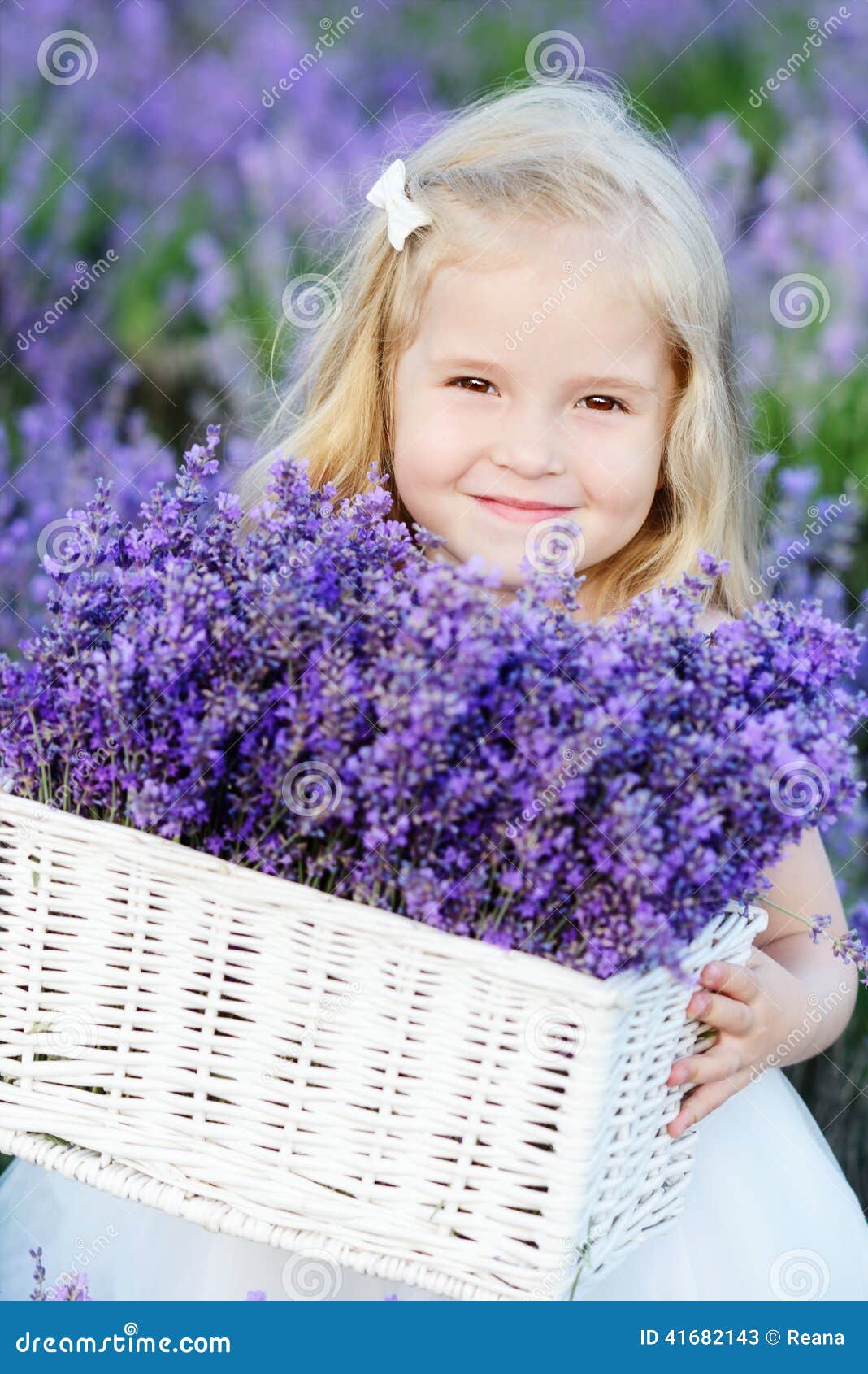 Girl with lavender stock image. Image of female, lavanda - 41682143