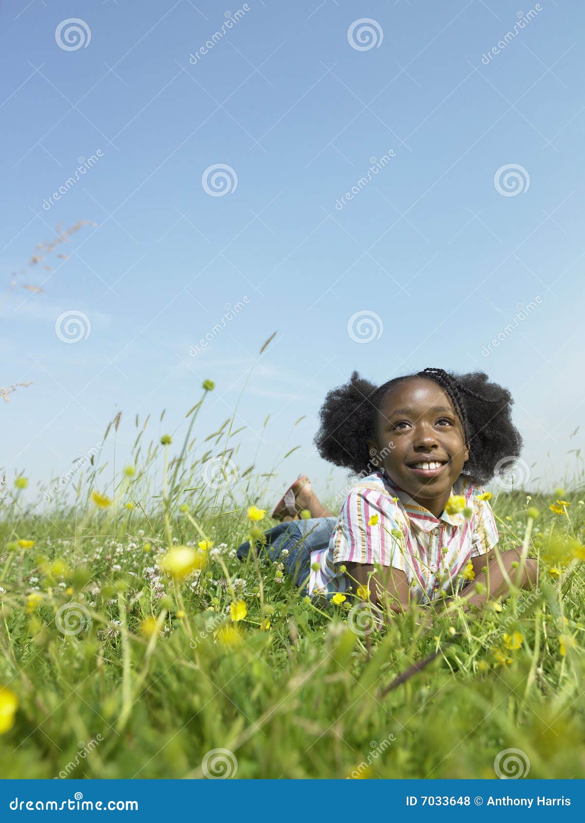 Girl laying in open field stock photo. Image of environmental - 7033648