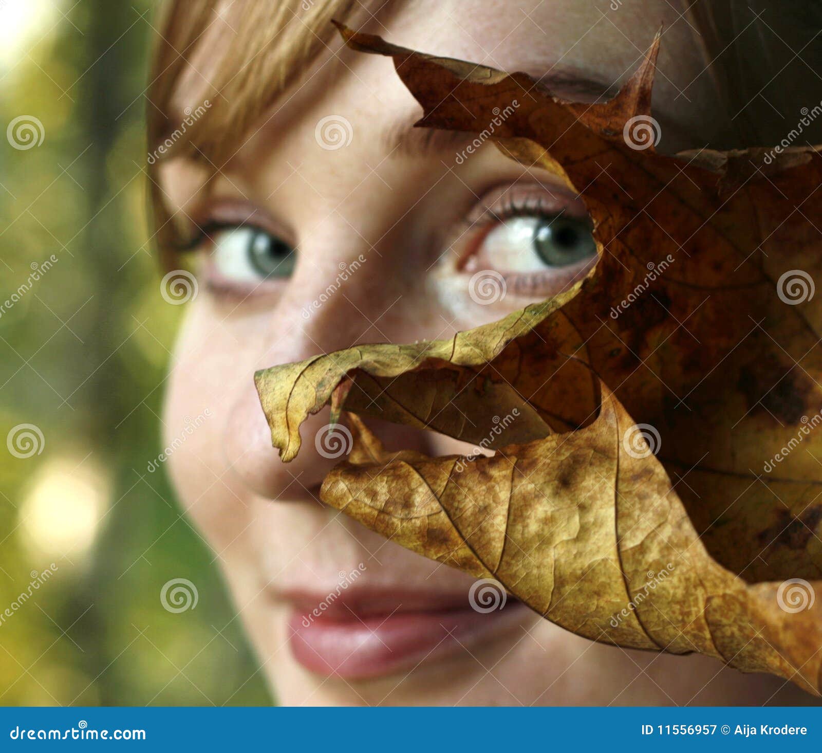 The girl with the leaf stock image. Image of woman, like - 11556957
