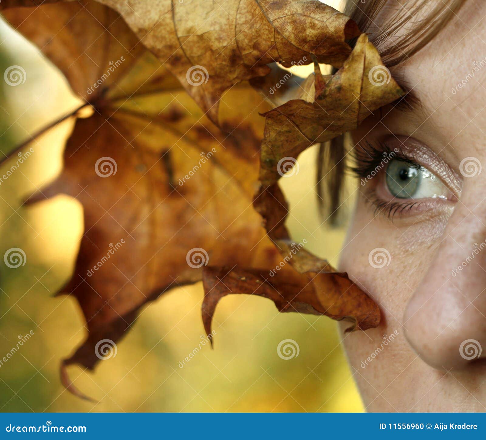 The girl with the leaf stock photo. Image of confront - 11556960