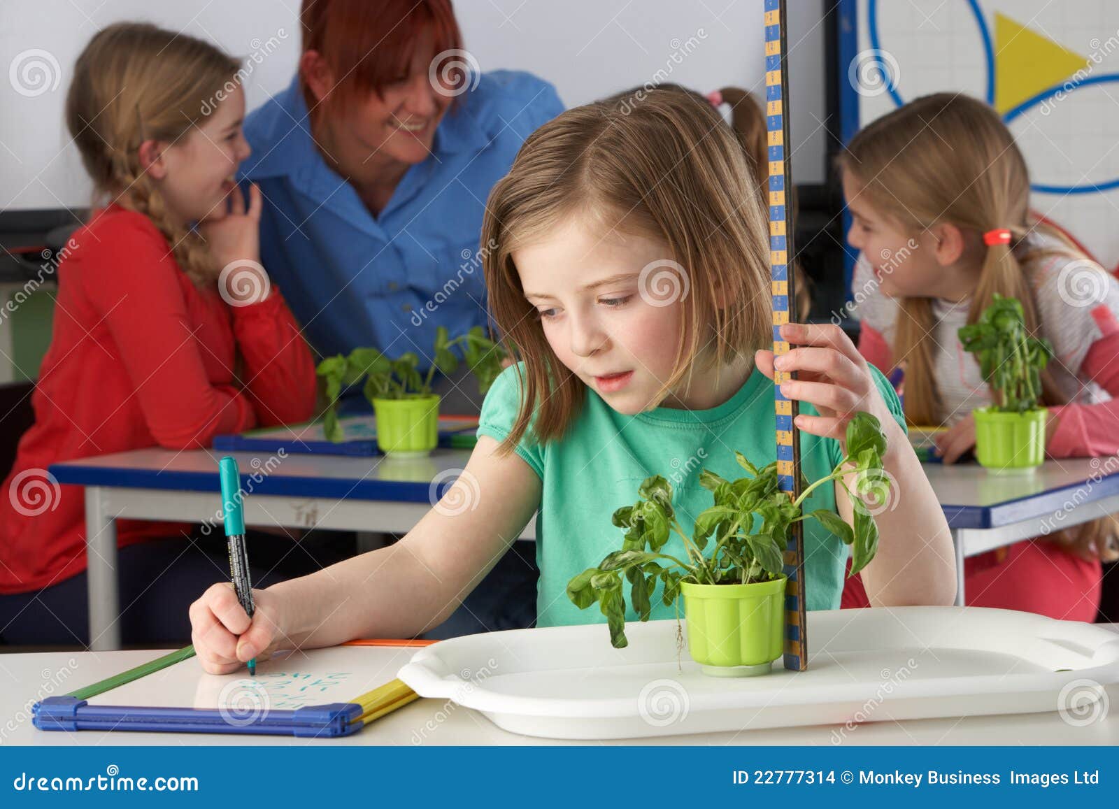 Girl Learning about Plants in School Class Stock Photo - Image of ...