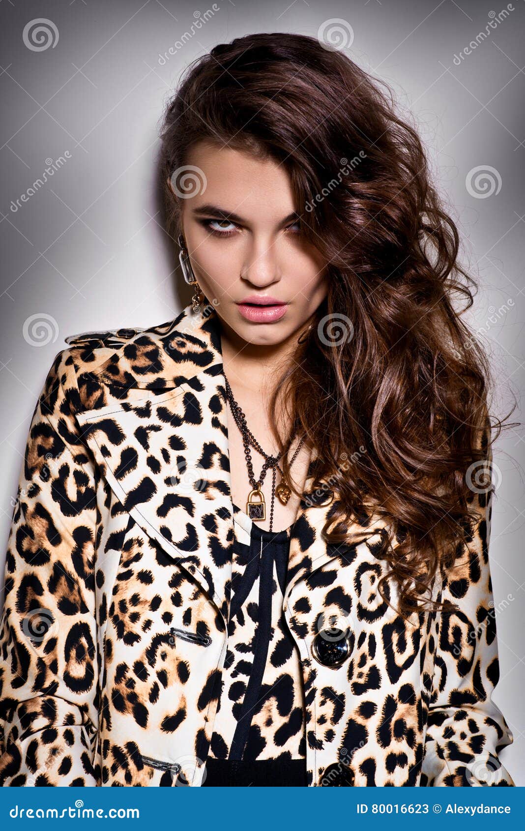 Girl in leopard blouse stock image. Image of glamour - 80016623