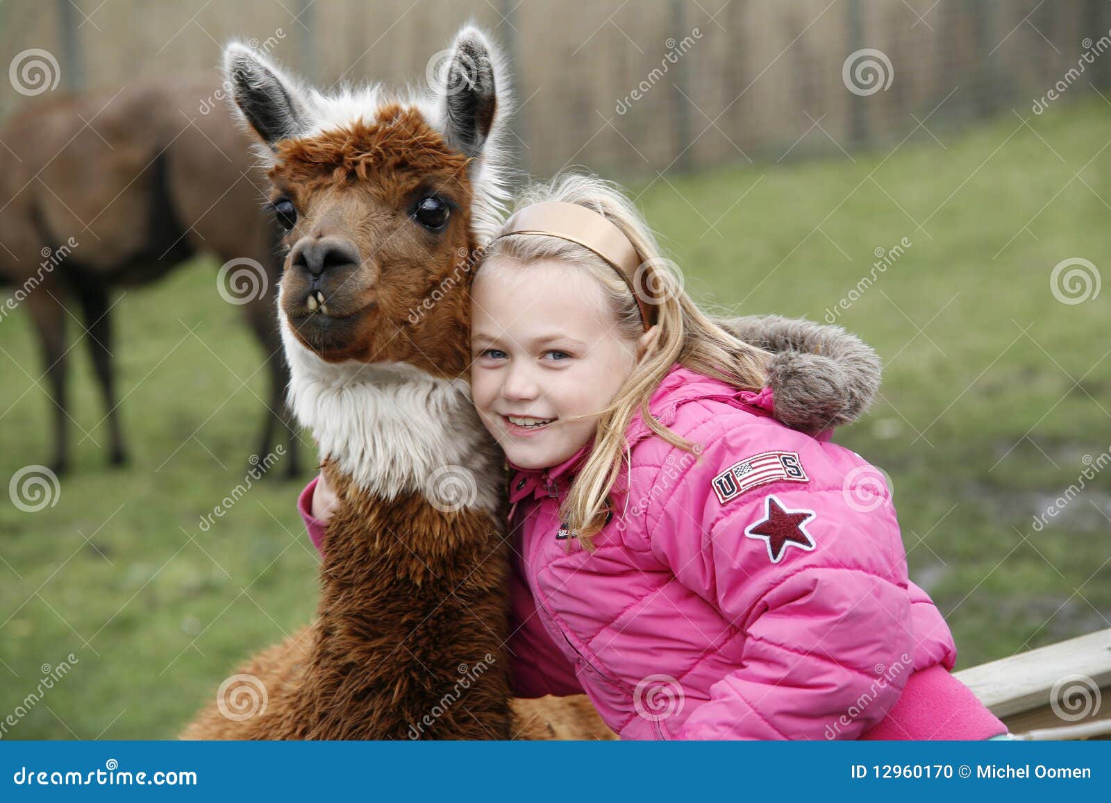 Girl with a llama alpaca stock photo. Image of cuddling - 12960170