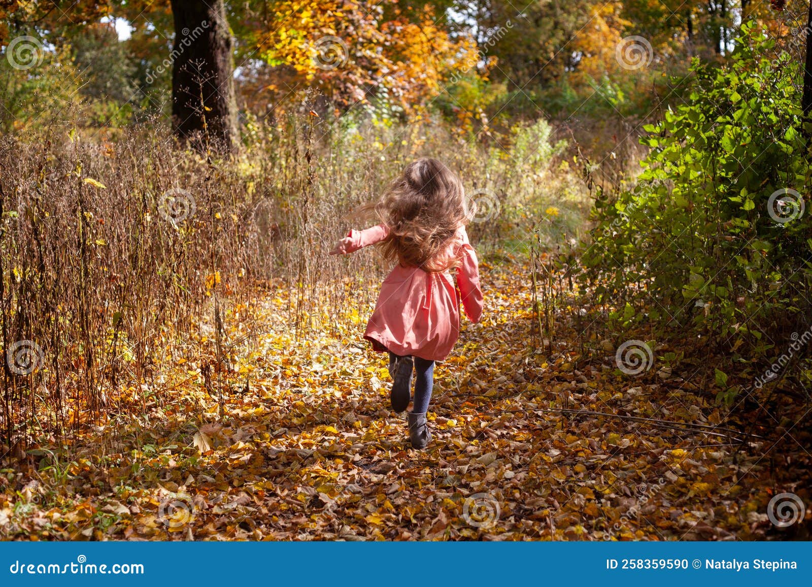 A Girl with Long Hair Runs Along a Path in the Park in the Fall Stock ...