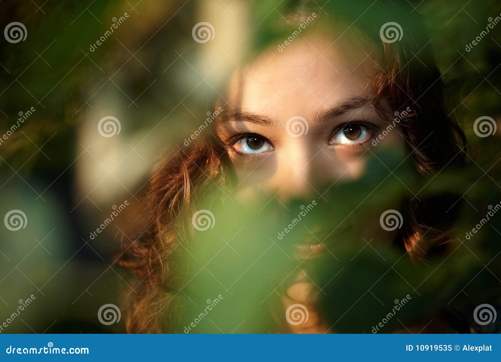 Girl Look Out from Branches Stock Image - Image of beauty, haired: 10919535