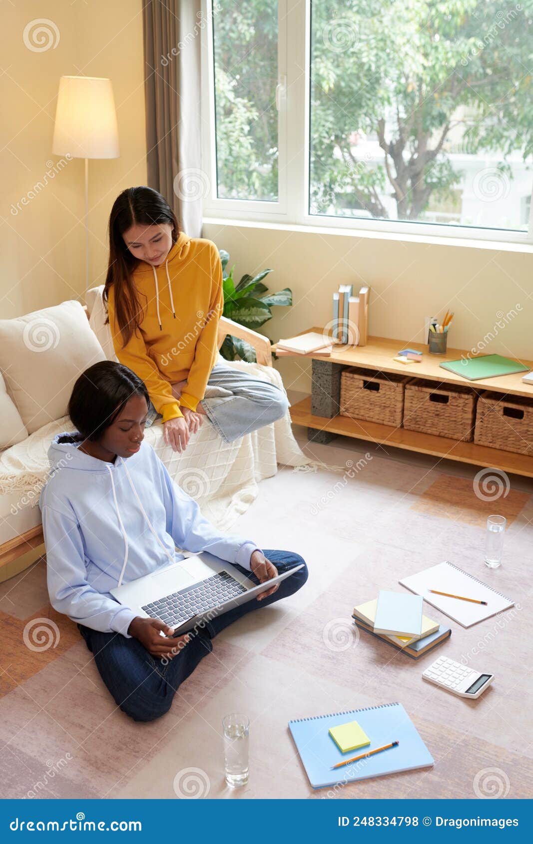 Girl Looking Coding Friend stock photo. Image of diverse - 248334798