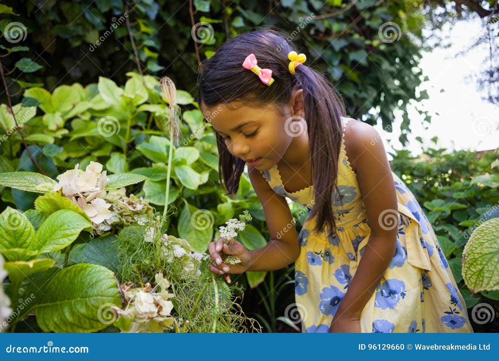Girl Looking at Fresh Flowers Stock Photo - Image of hair, looking ...
