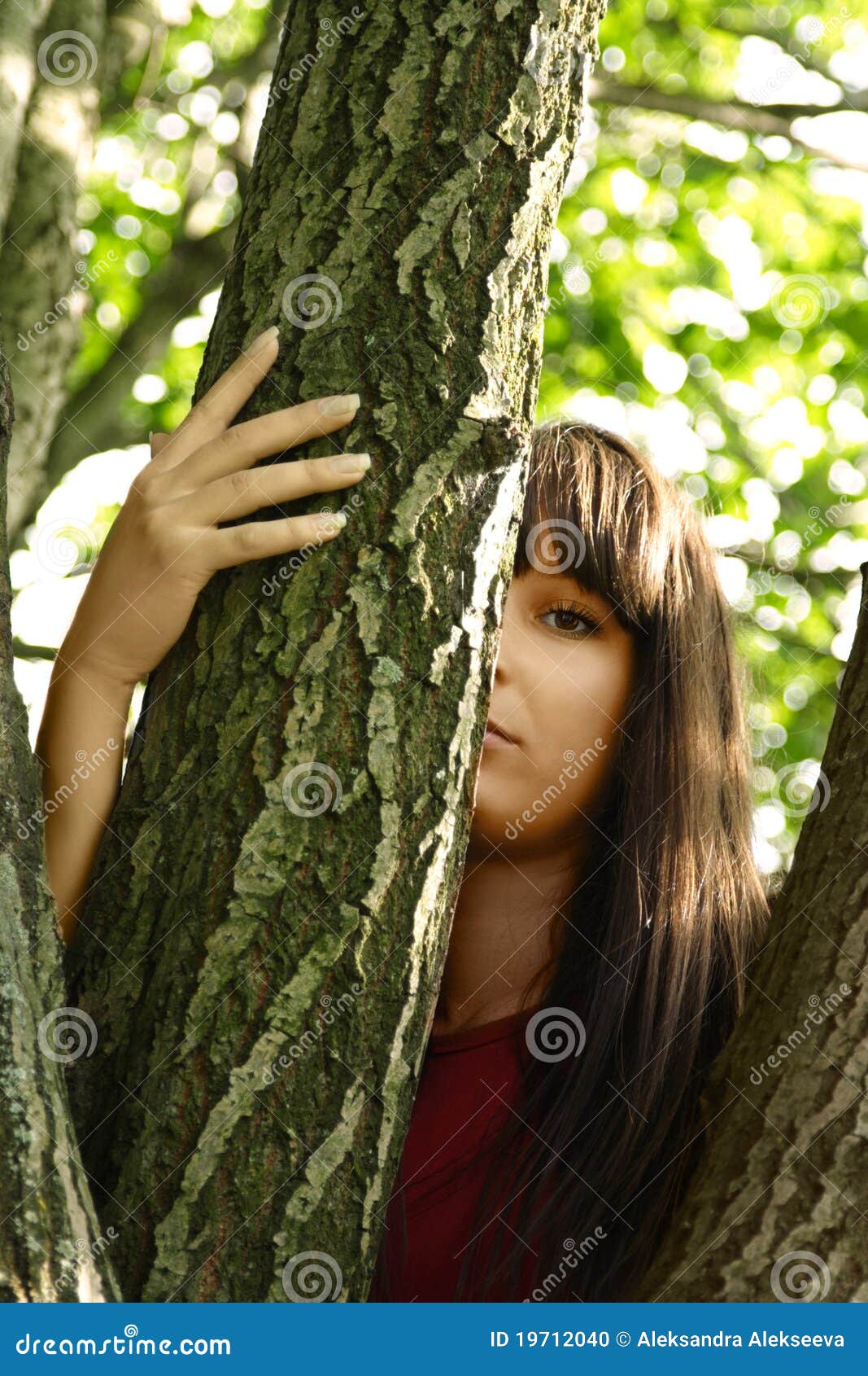 Girl looking out of tree stock photo. Image of woman - 19712040