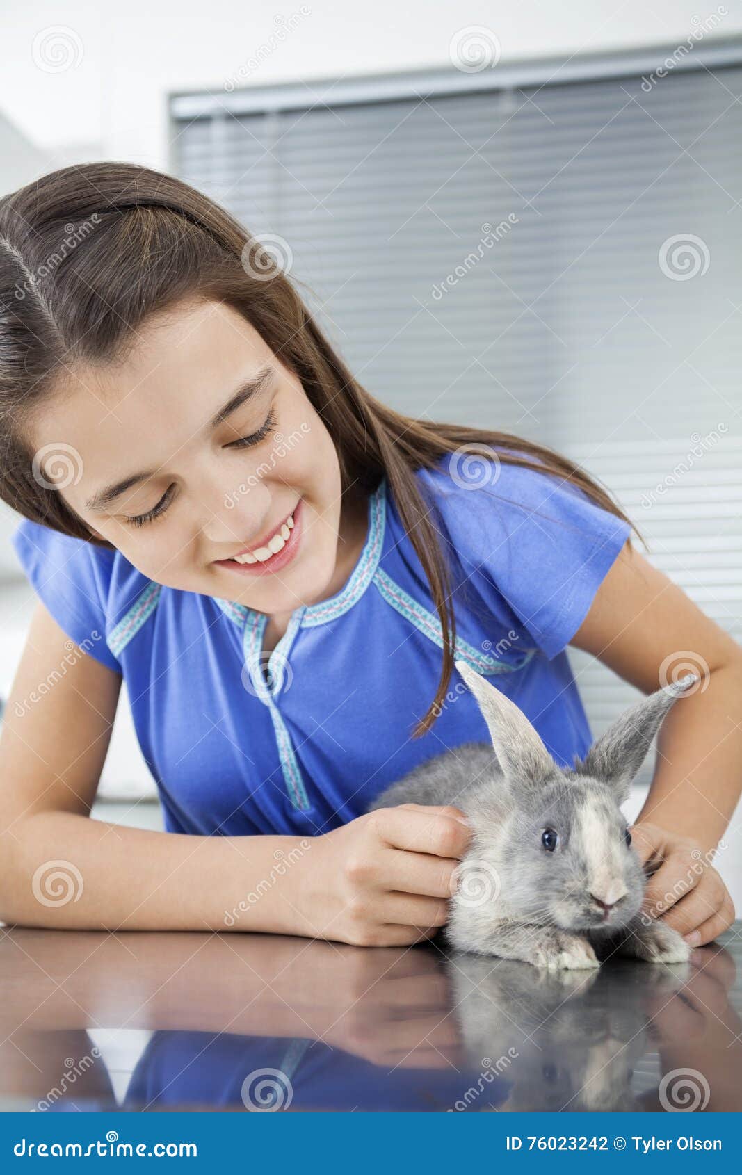 Girl Looking at Rabbit on Bed at Clinic Stock Photo - Image of ...