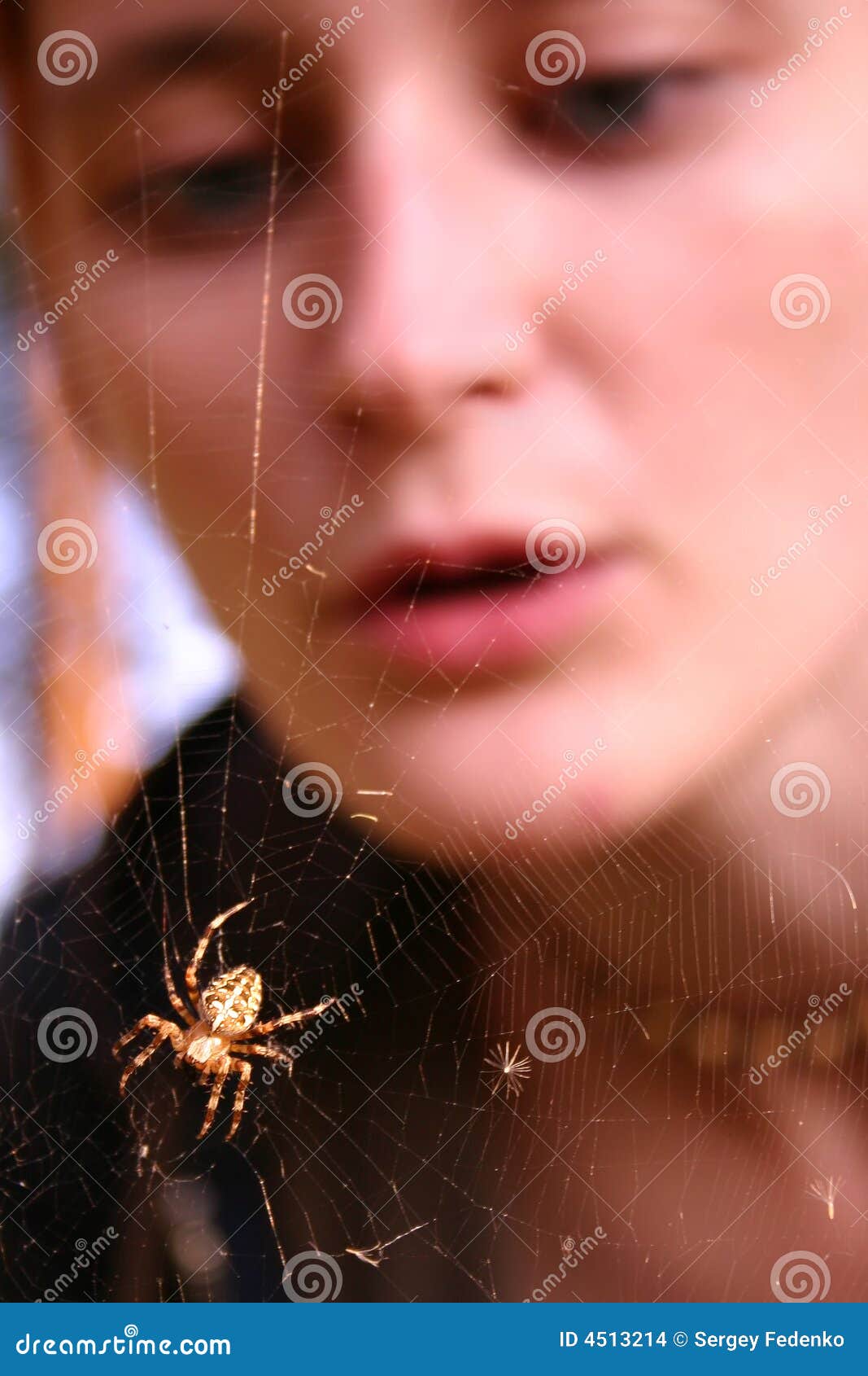 Girl looking at spider web stock photo. Image of adult - 4513214