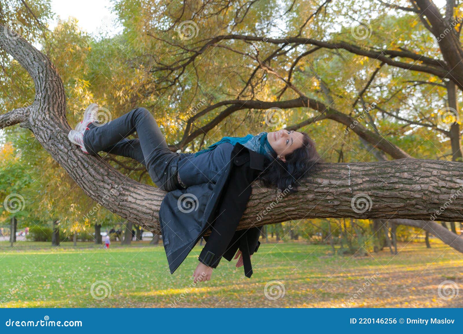 Girl lying on a tree stock photo. Image of adult, portrait - 220146256