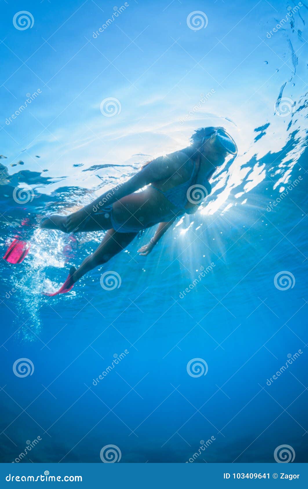 Exploring underwater stock image. Image of activity - 103409641