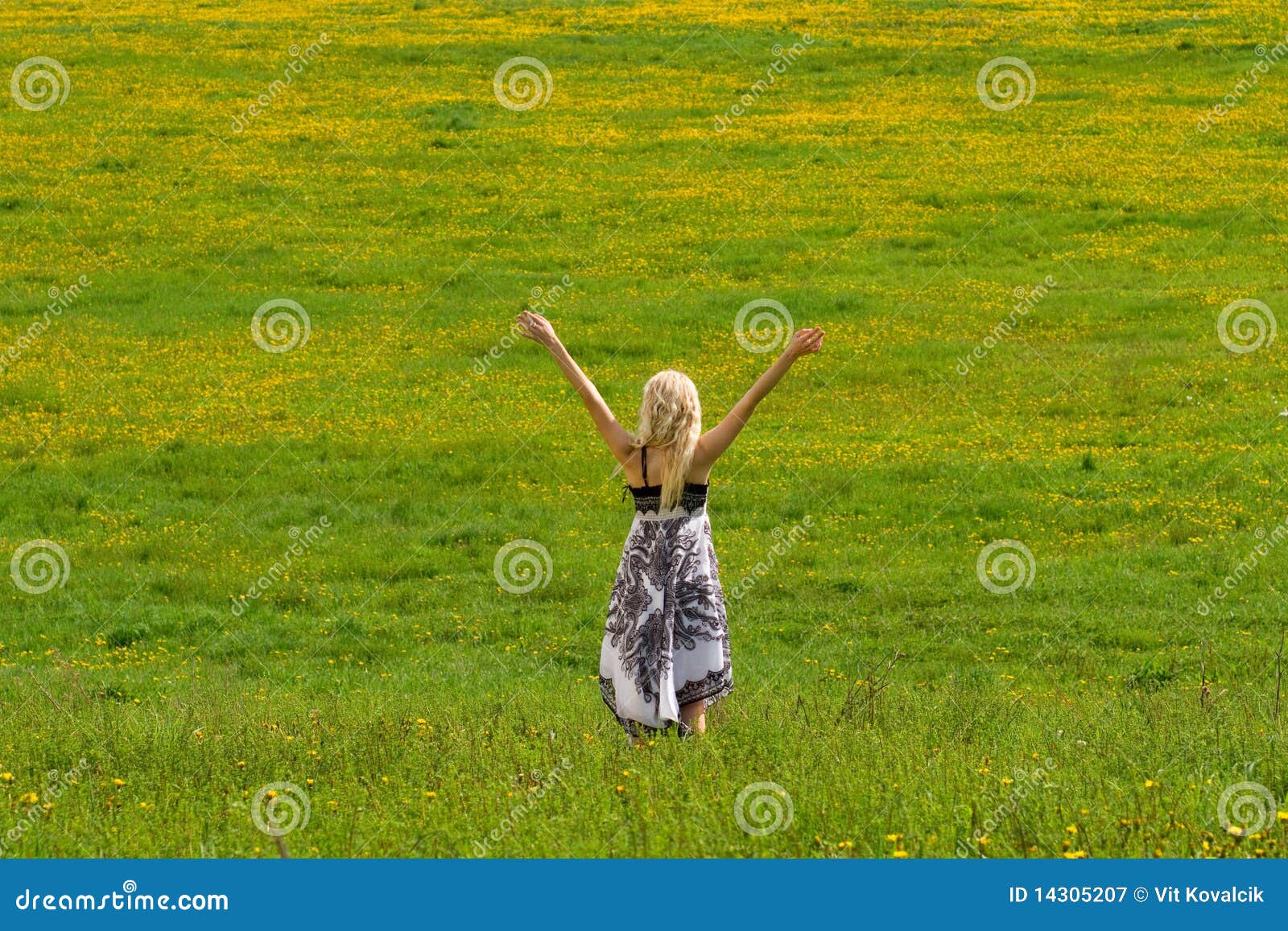 Girl on Meadow in Spring, Arms Stock Image - Image of human, botanical ...