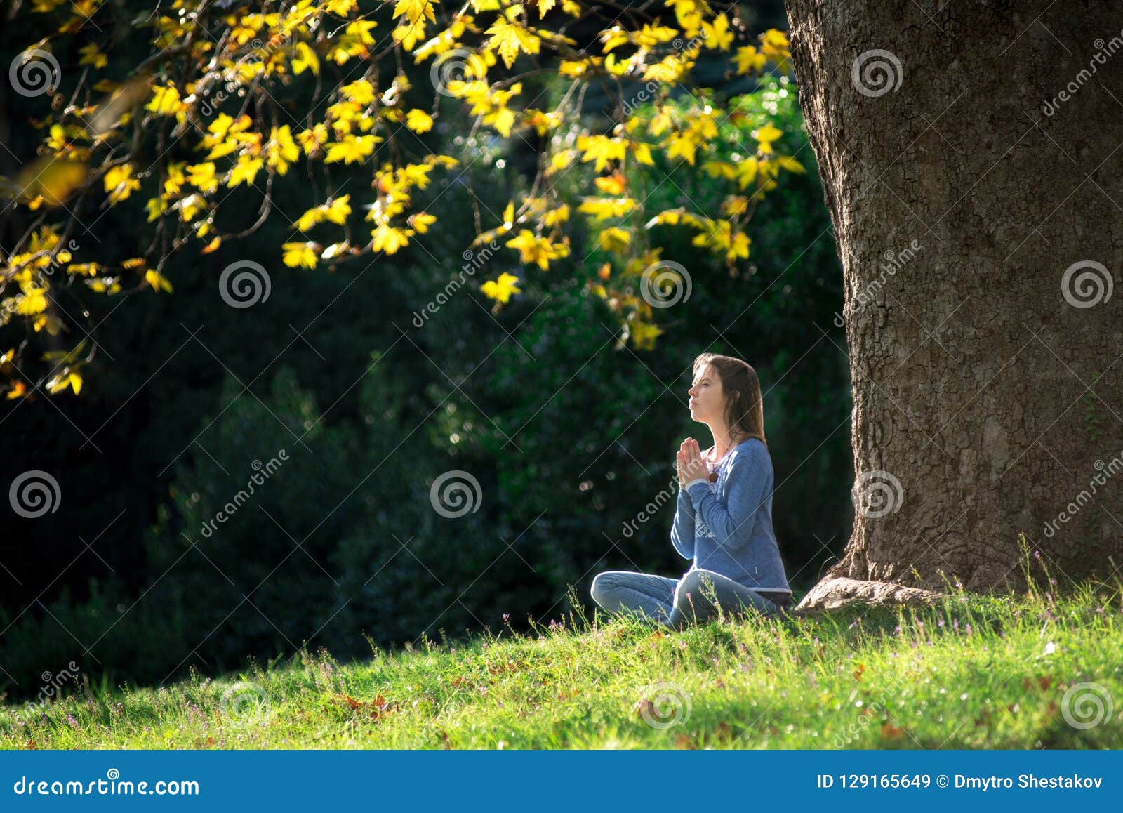 Girl Meditates Sitting on the Grass Under a Maple Tree in Autumn Stock ...