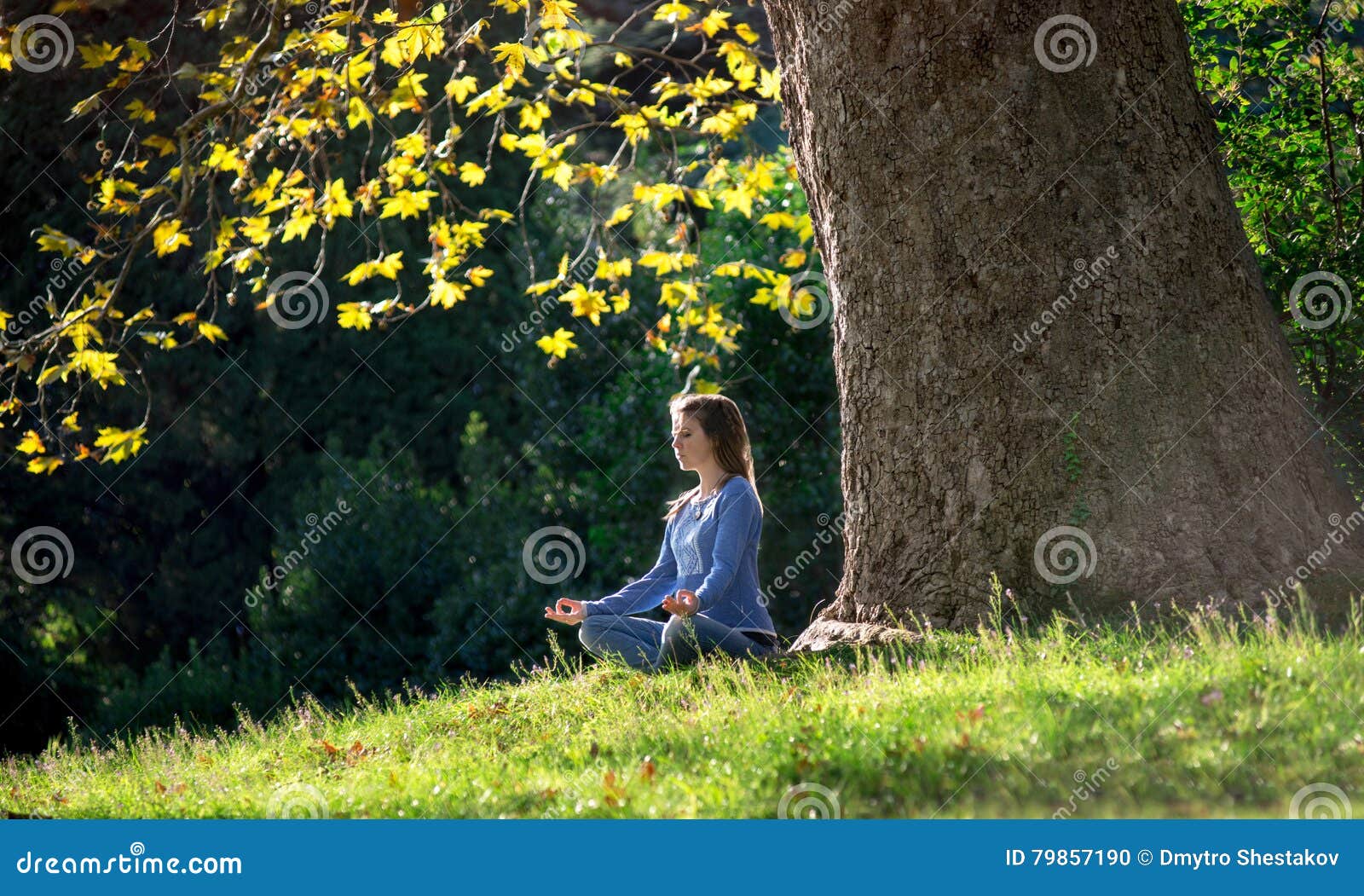 Girl Meditates Sitting on the Grass Under Maple Tree in Autumn Stock ...