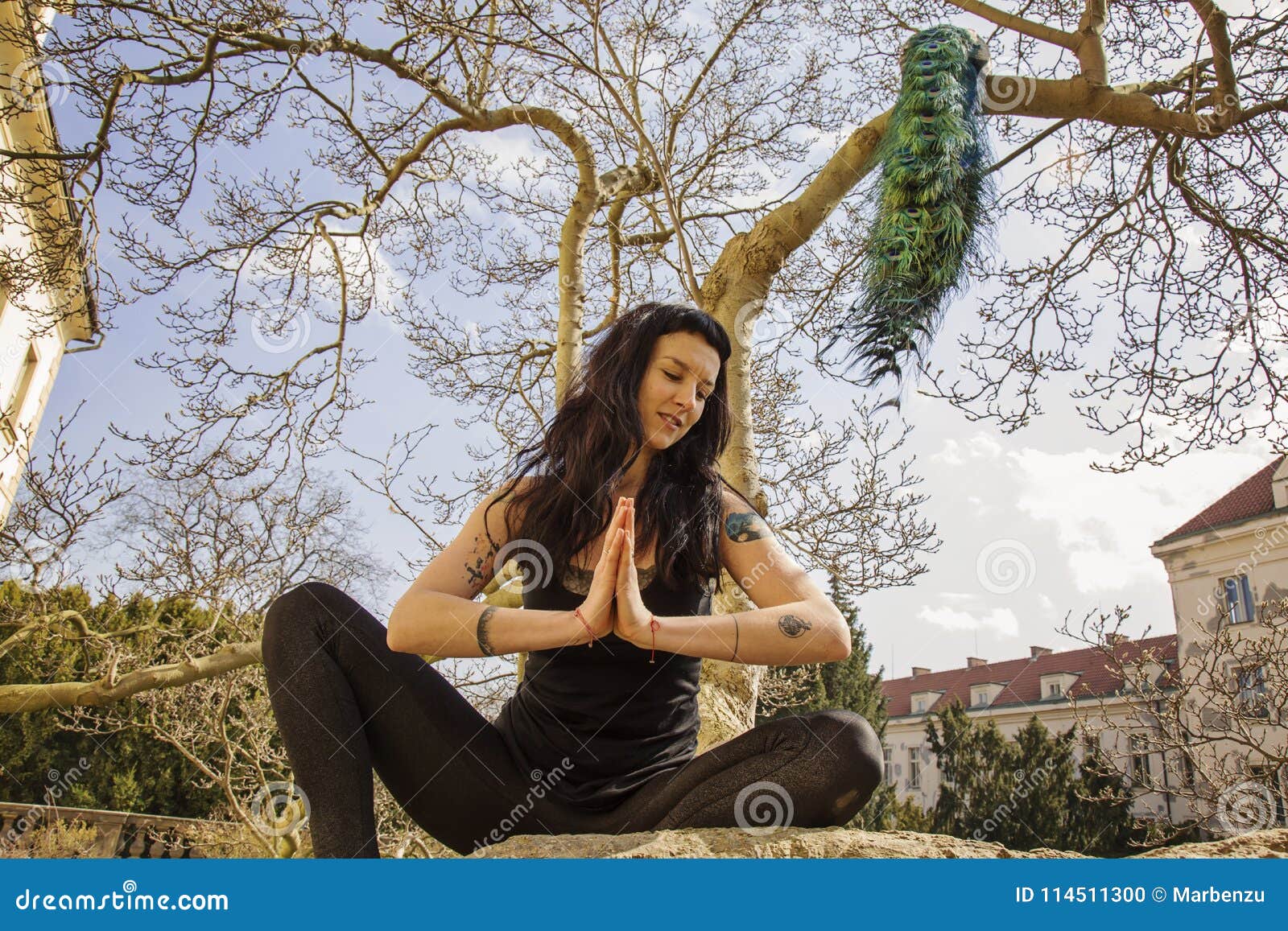 Girl Meditating on the Tree Stock Photo - Image of vegan, smile: 114511300