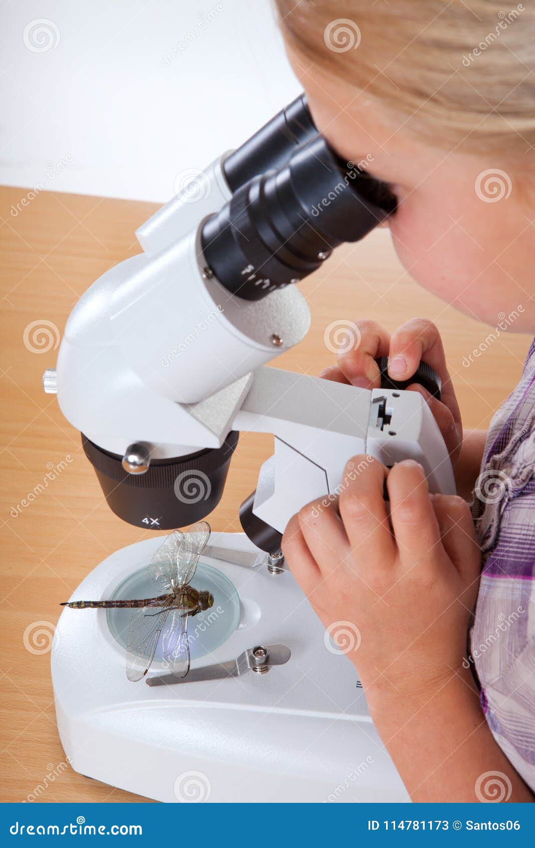 Girl with microscope stock image. Image of exploratory - 114781173