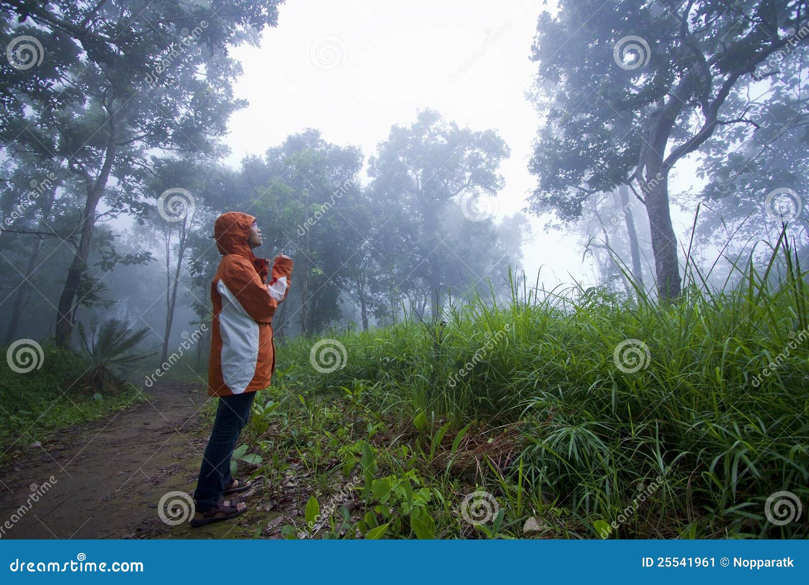Girl in the mist stock image. Image of foliage, lush - 25541961
