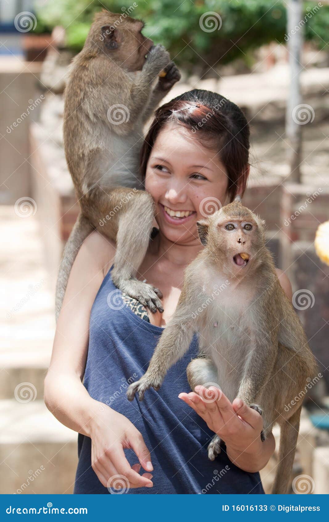 Girl with monkey stock image. Image of fauna, girl, primate - 16016133
