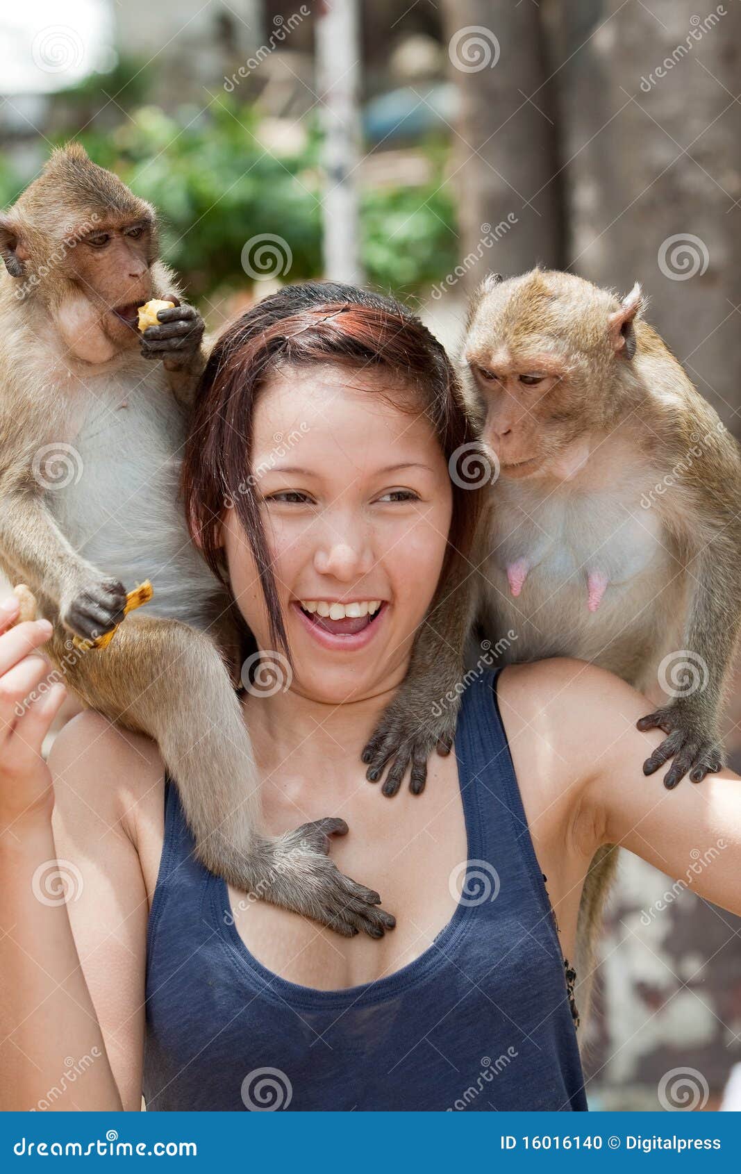 Girl with monkey stock photo. Image of female, monkey - 16016140