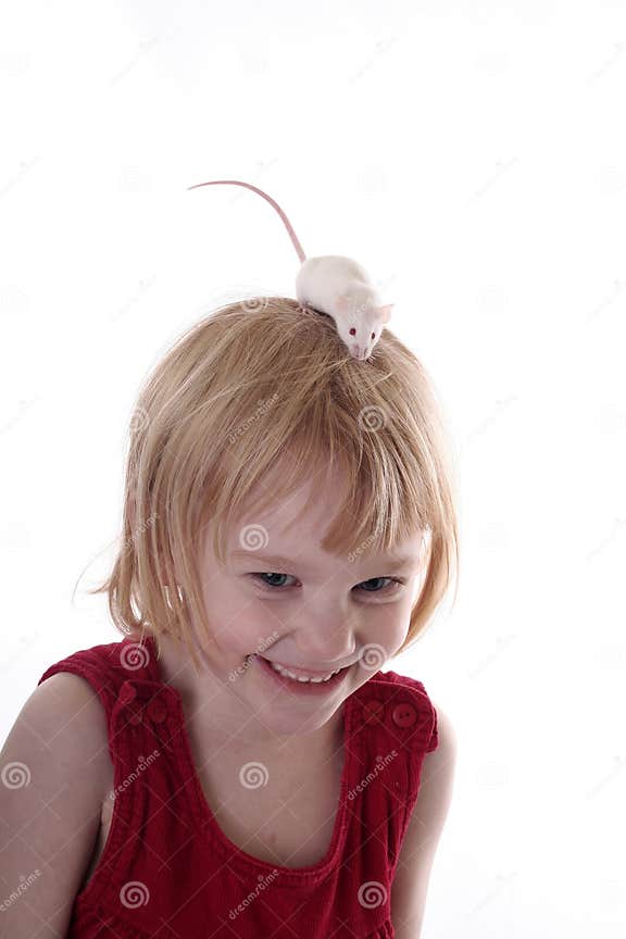 Girl with Mouse on head stock image. Image of head, friend - 3975673