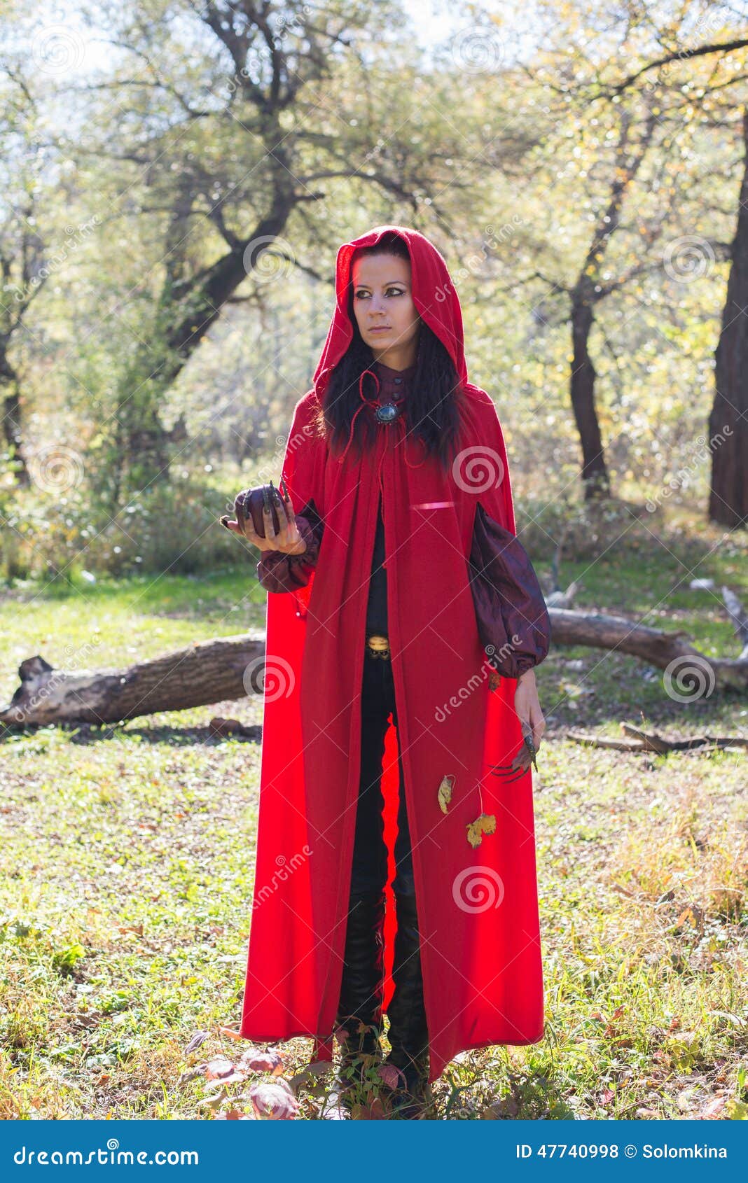 Girl on the Nature in a Red Cloak Stock Photo - Image of model, heroine ...